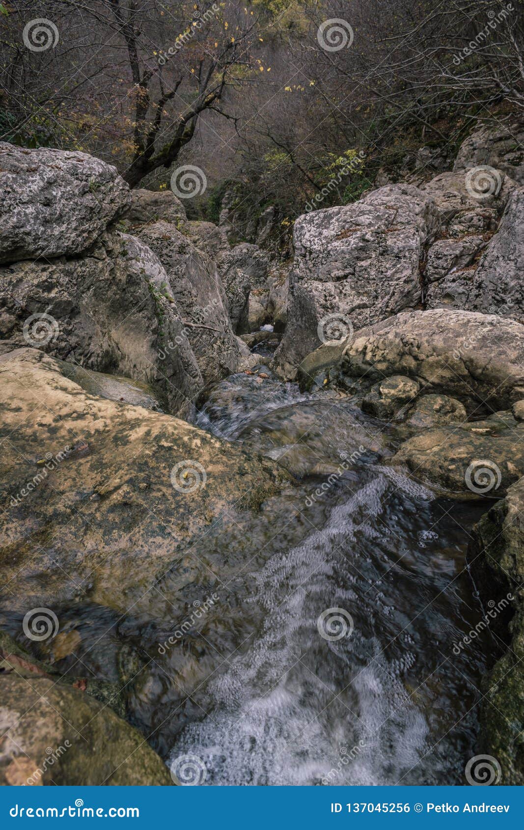 A Running River through the Rocks of the Mountain in Autumn. Stock ...