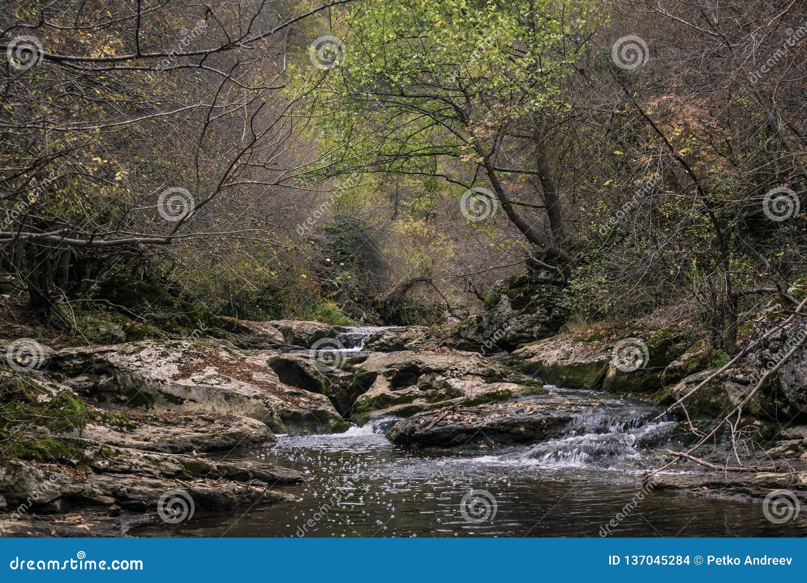 A Running River through the Rocks of the Mountain in Autumn. Stock ...