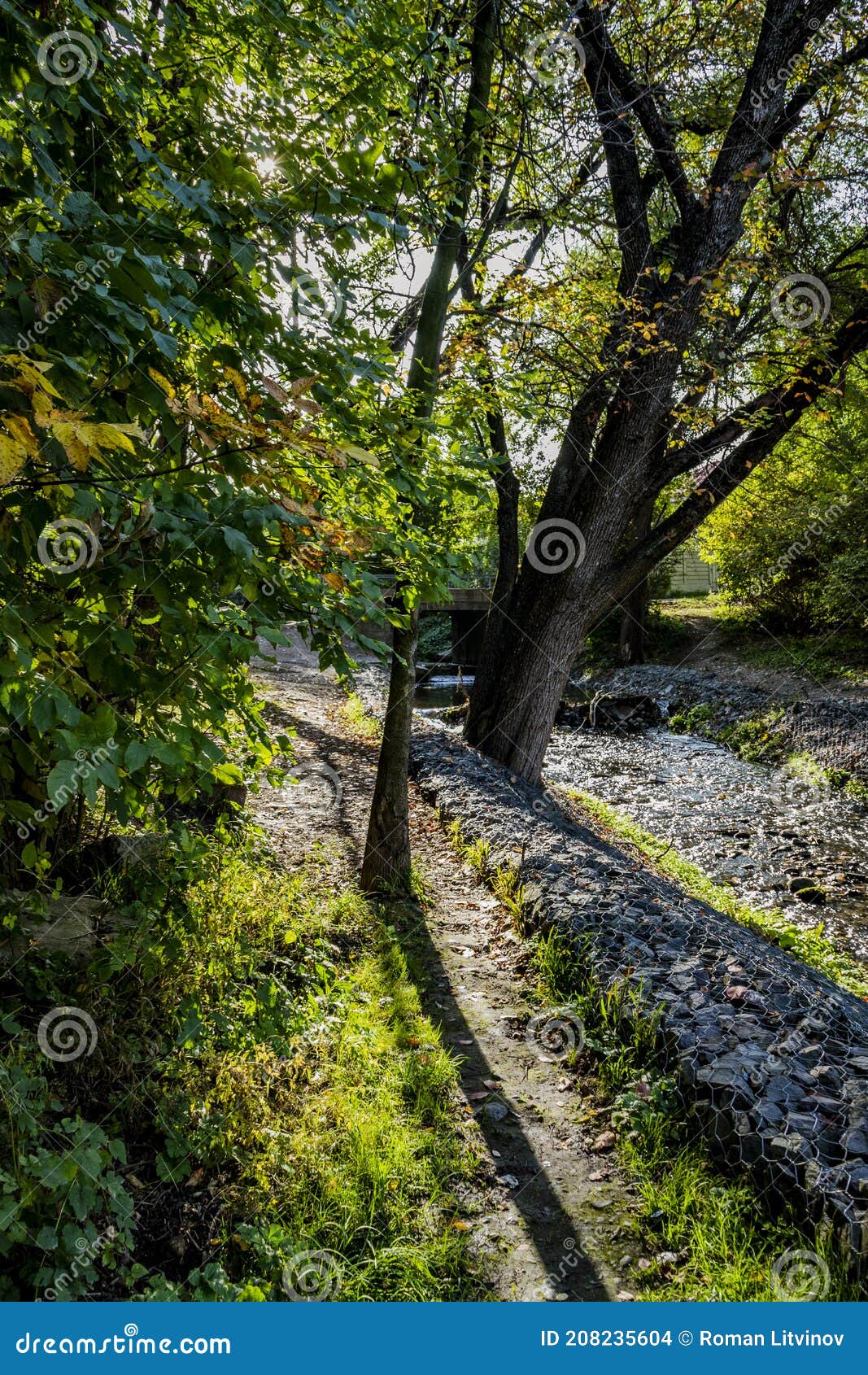 Running river among trees stock photo. Image of garden - 208235604