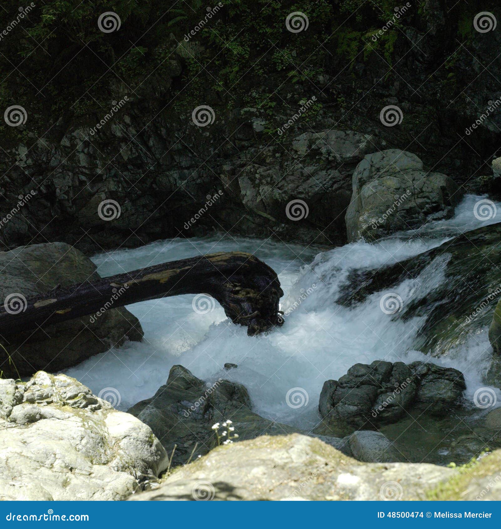 Running river water stock photo. Image of force, flow - 48500474
