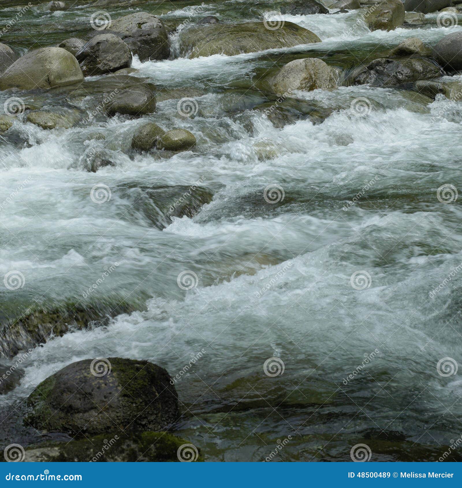 Running river water stock image. Image of lush, green - 48500489