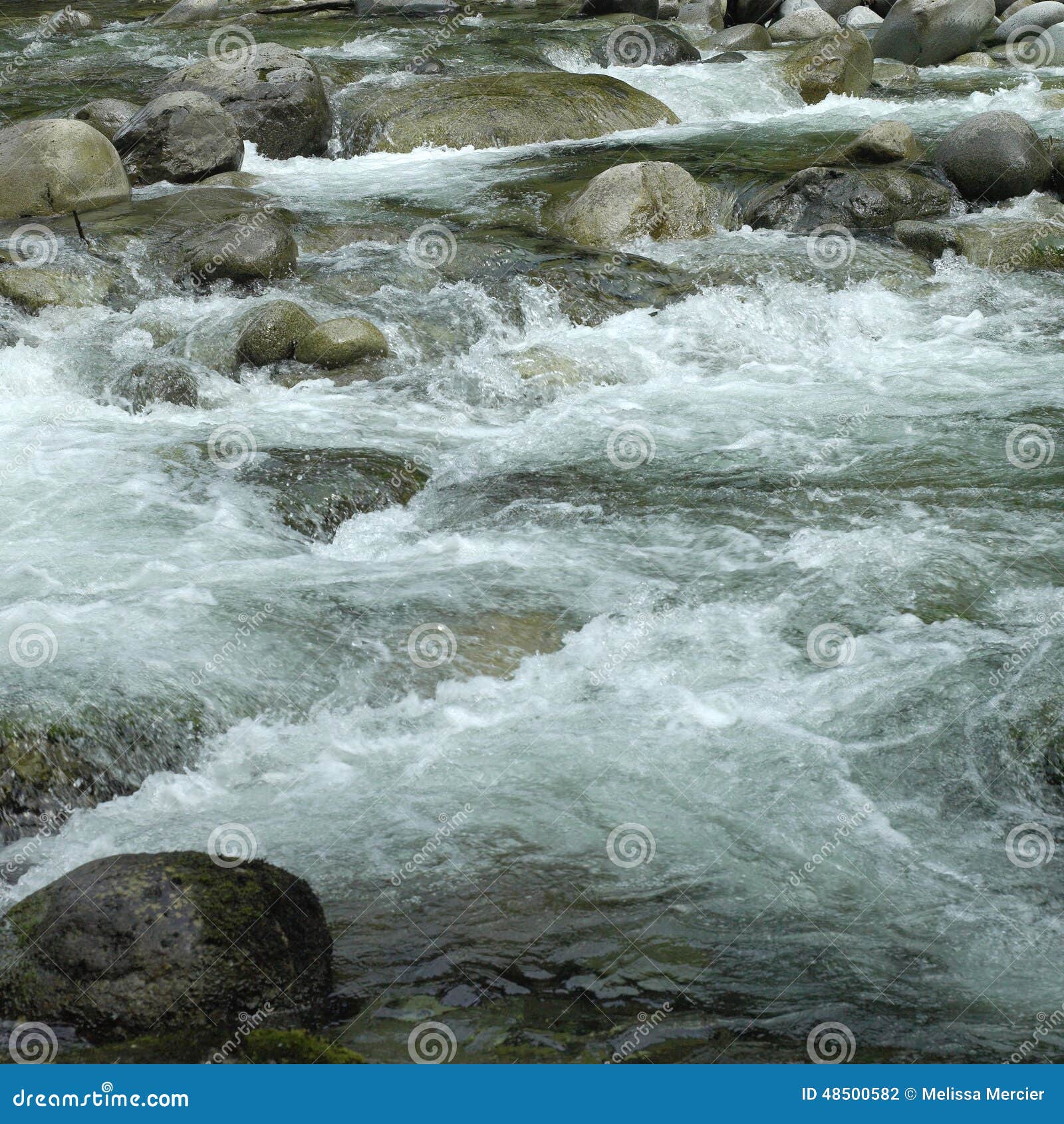 Running river water stock photo. Image of leaves, motion - 48500582
