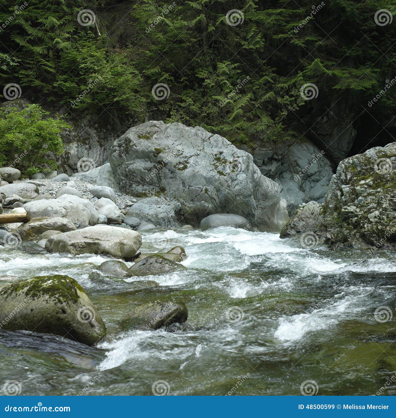 Running river water stock image. Image of forest, discovery - 48500599
