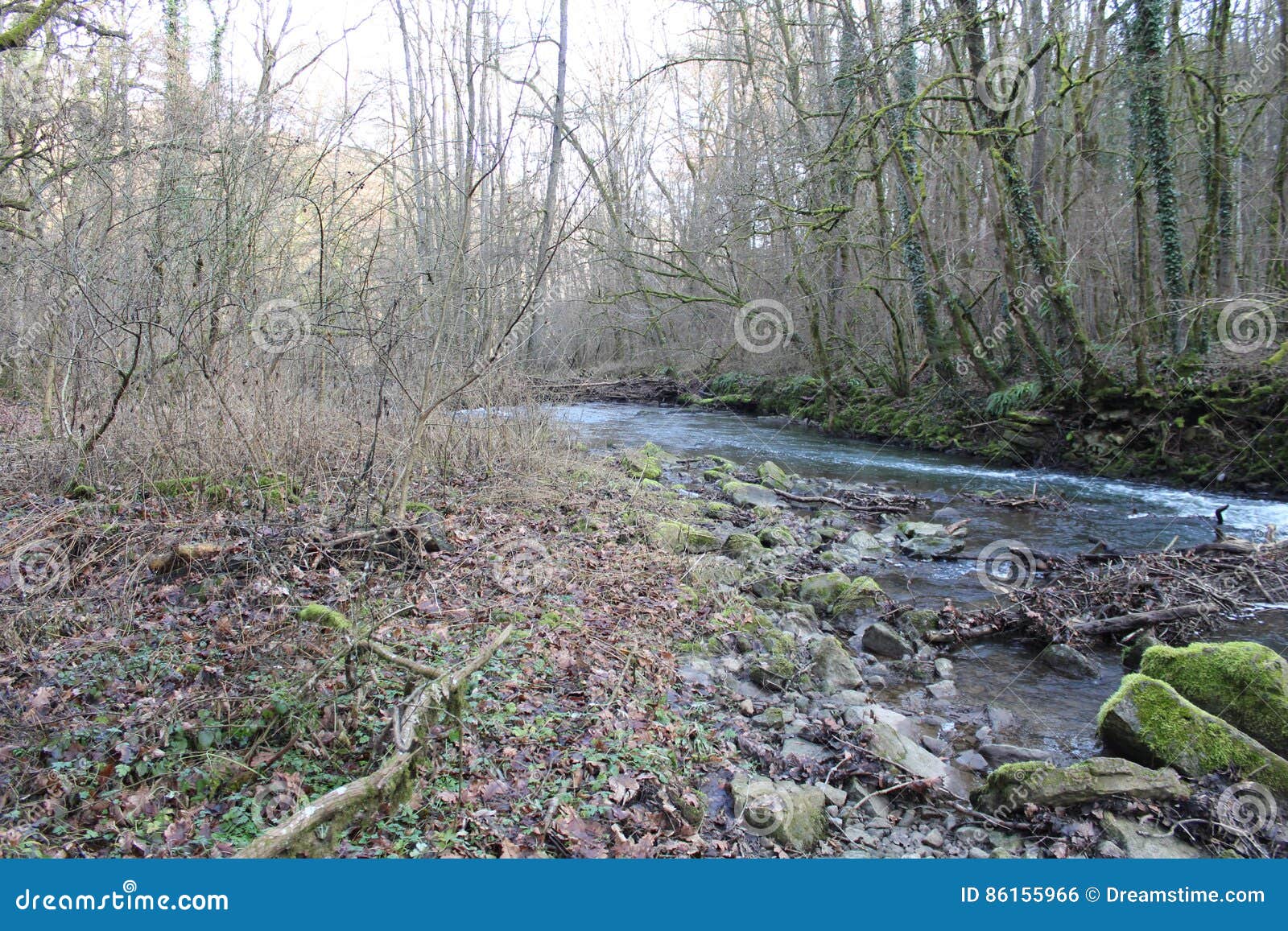 Running river stock photo. Image of green, nature, spring - 86155966