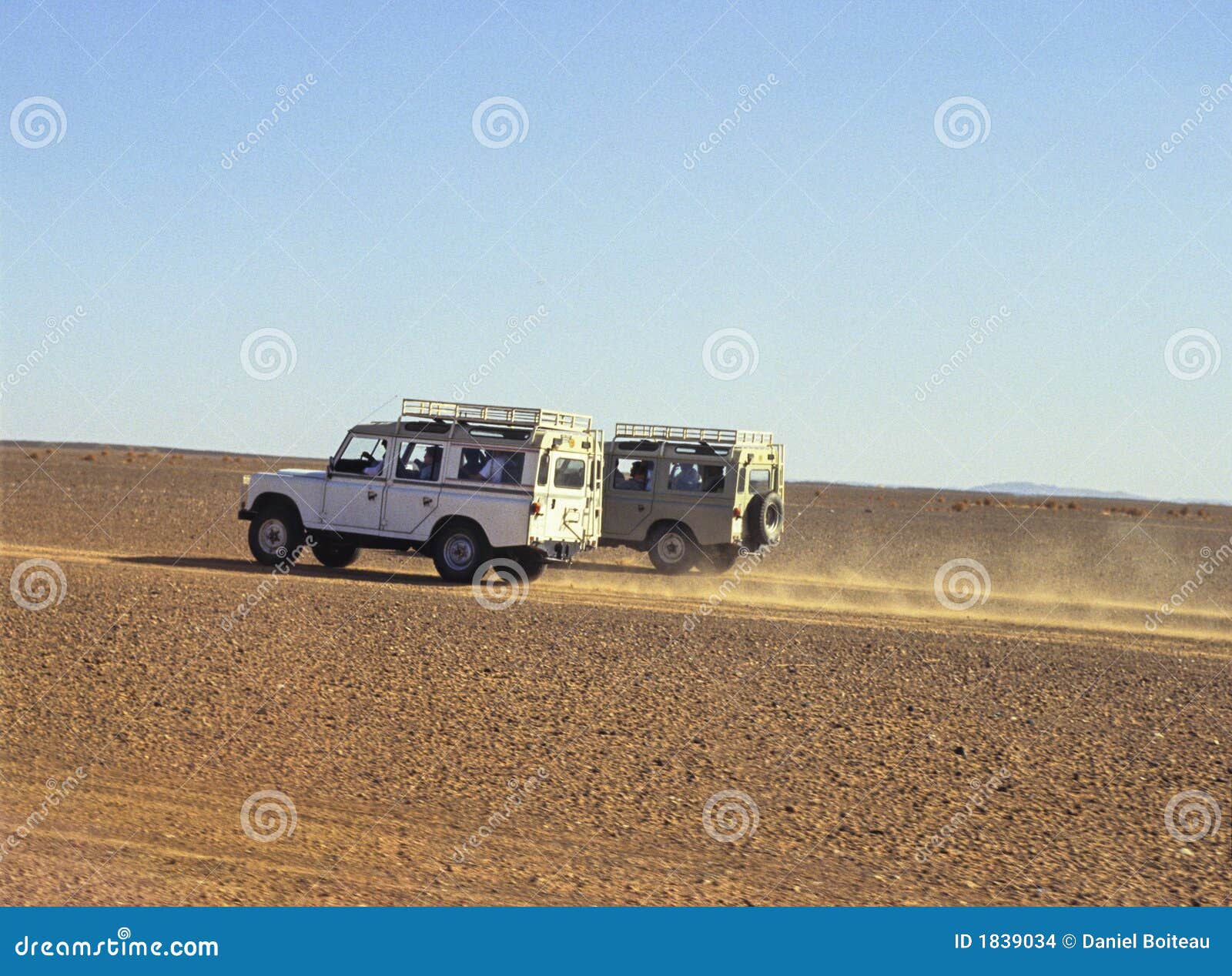 Running in Sahara stock photo. Image of yellow, twin, flat - 1839034