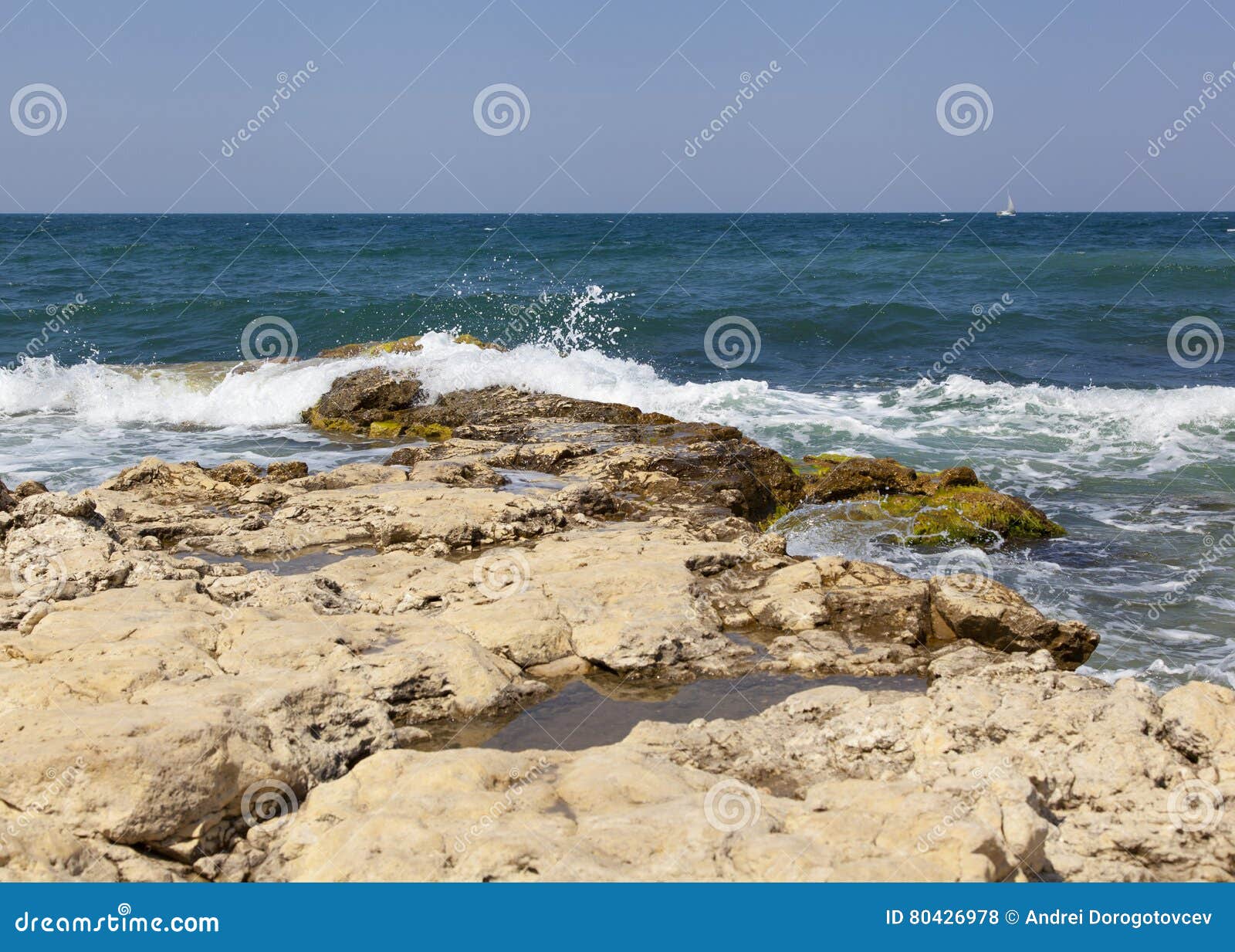Running sea wave stock photo. Image of marine, splashing - 80426978