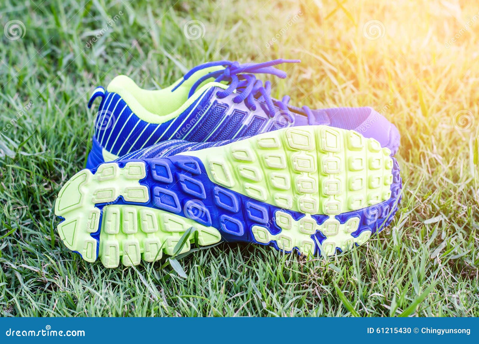 Running Shoes on a Green Grass Field Stock Photo - Image of fitness ...