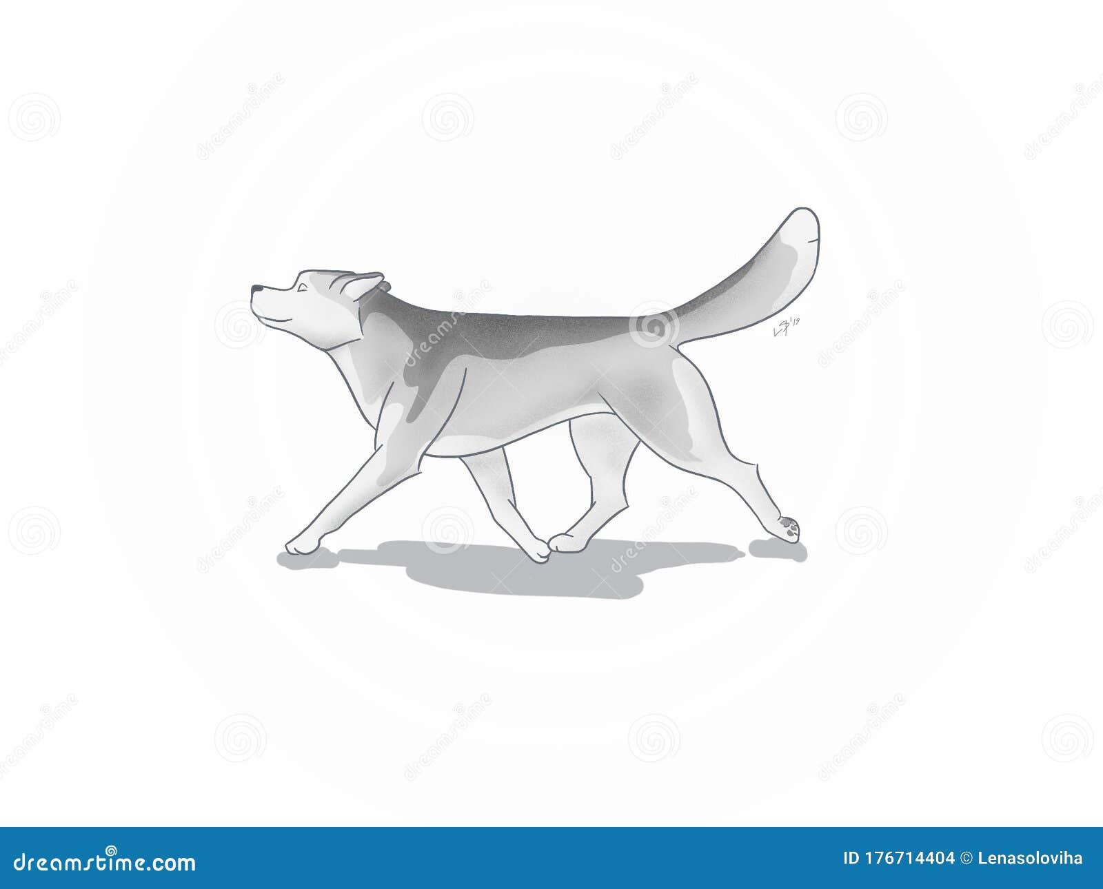 Running Siberian Husky stock illustration. Illustration of naughty ...