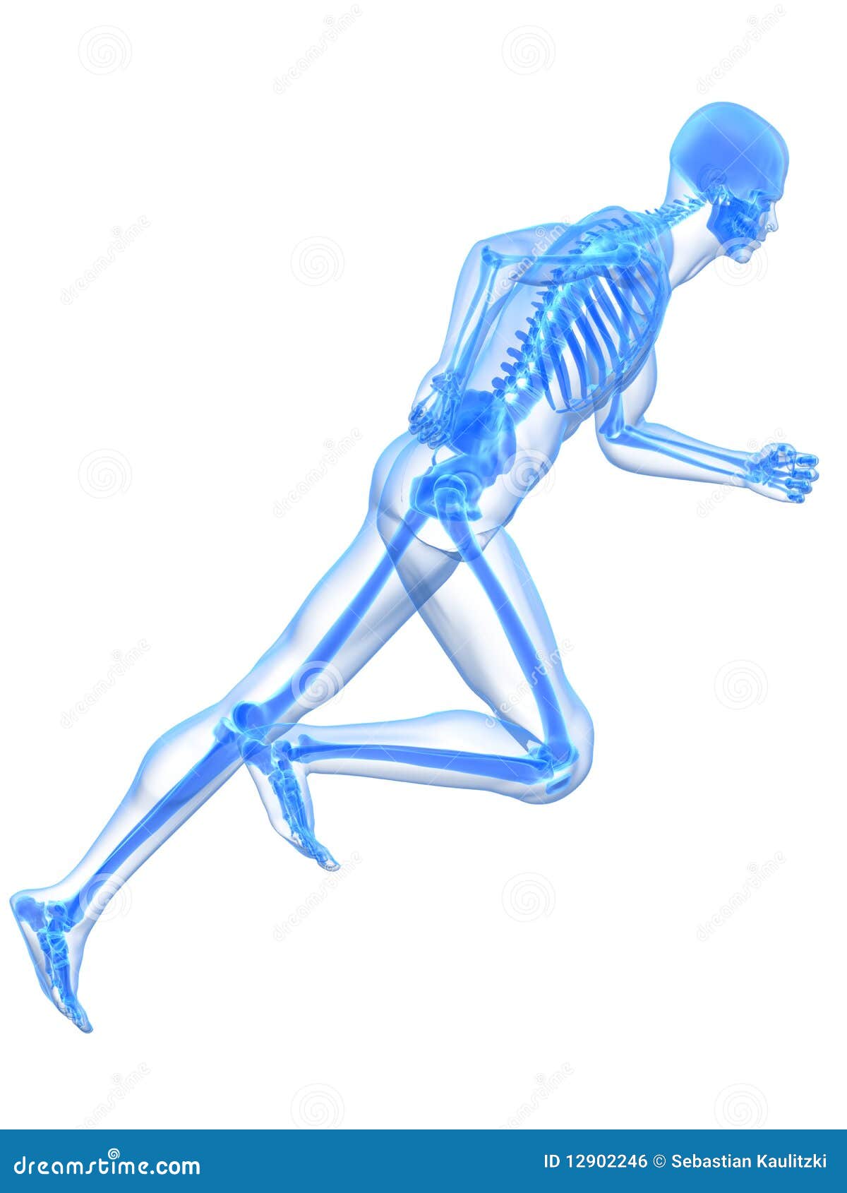 Running Skeleton Icon, Cartoon Style Vector Illustration ...