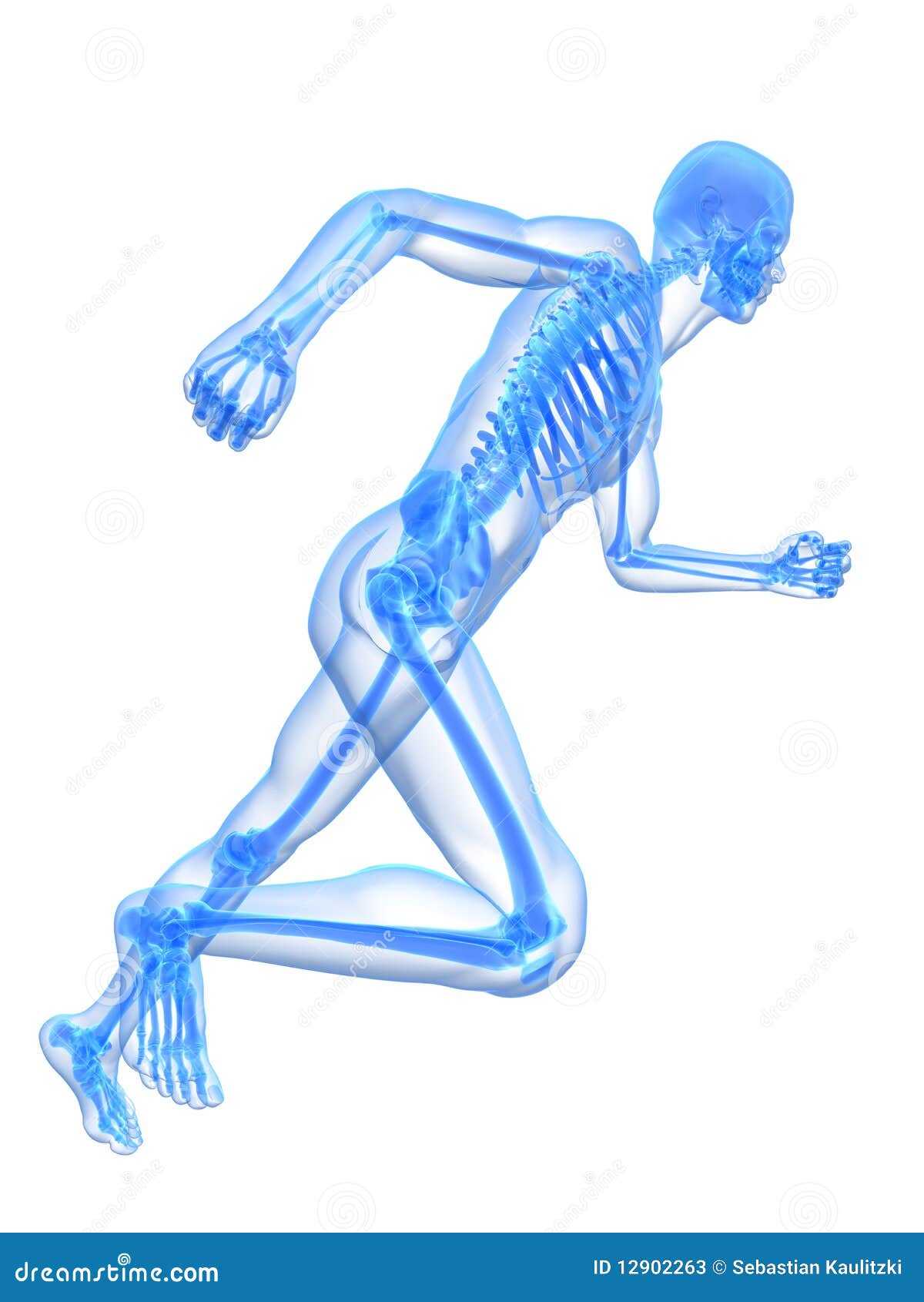 Running Skeleton Stock Illustration | CartoonDealer.com #12902263