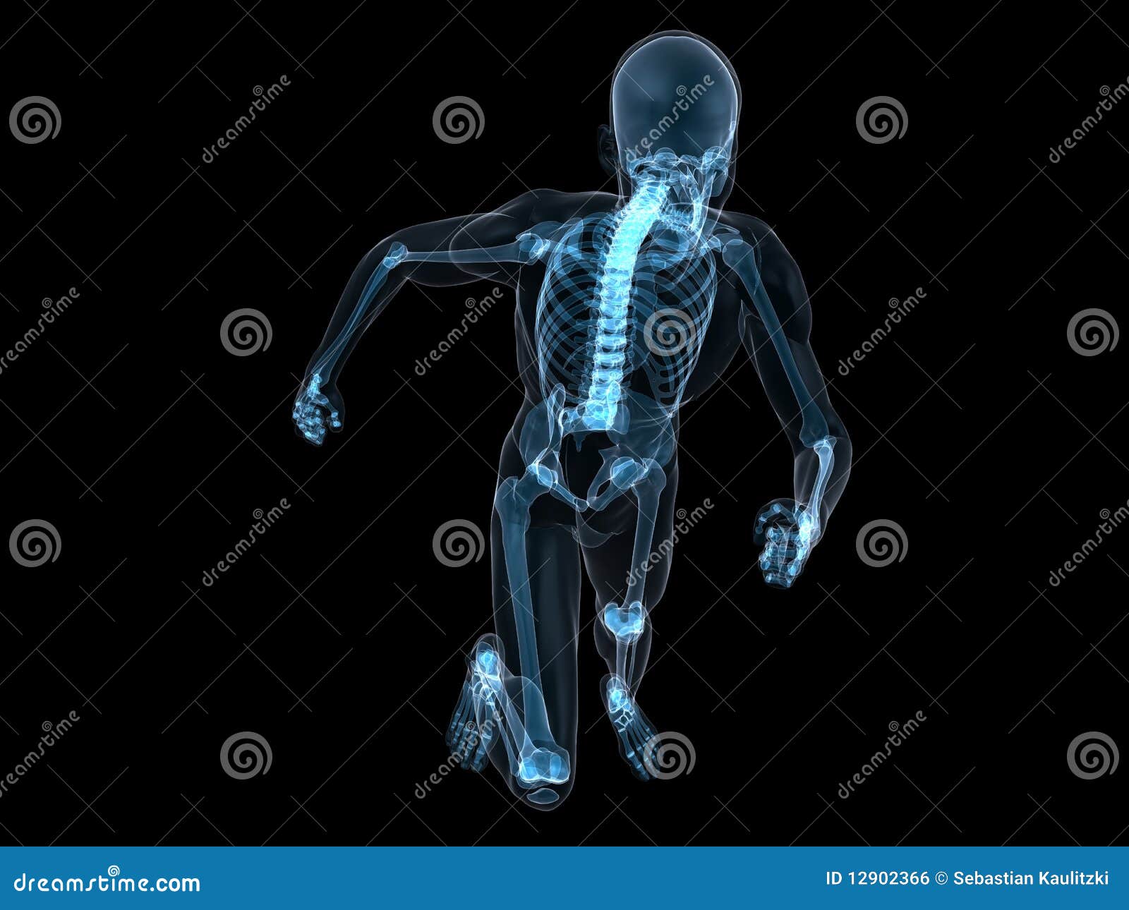 Running skeleton stock illustration. Illustration of transparent - 12902366