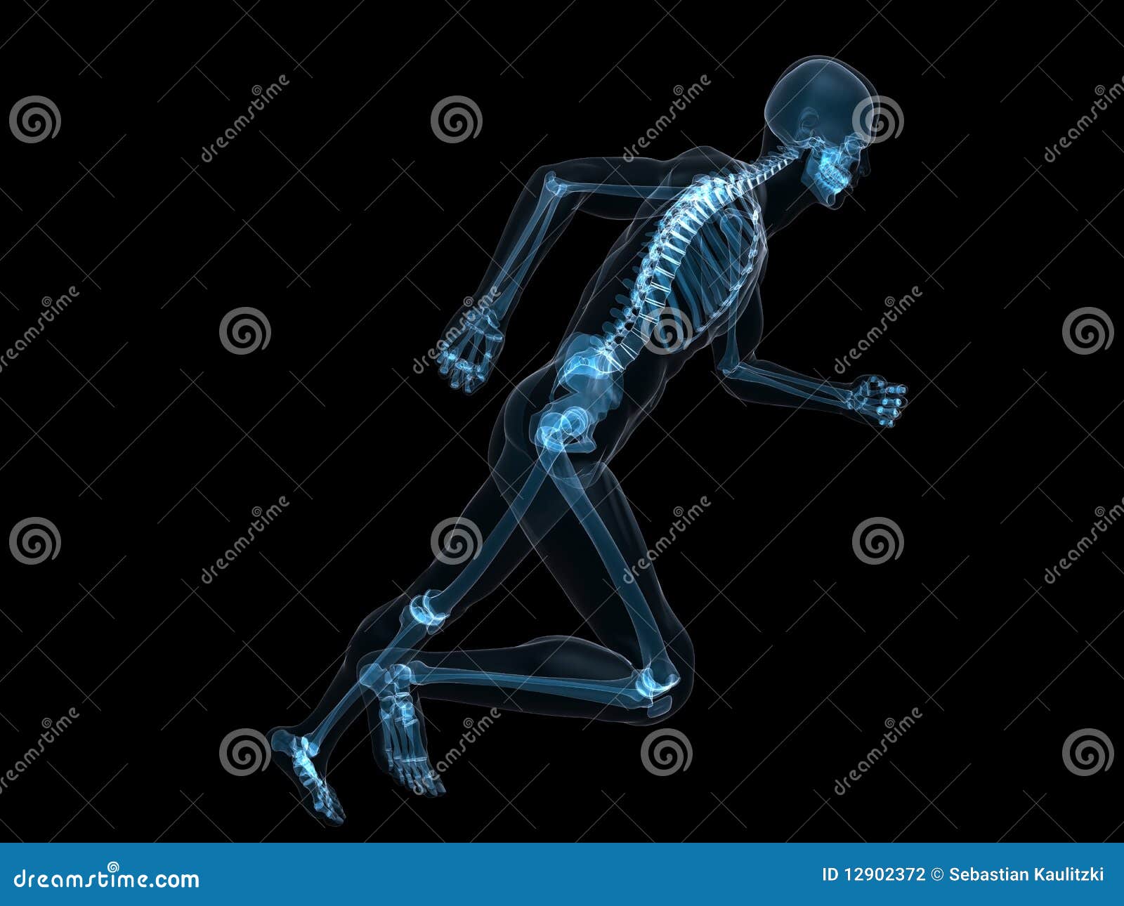 Running Skeleton Icon, Cartoon Style Vector Illustration ...
