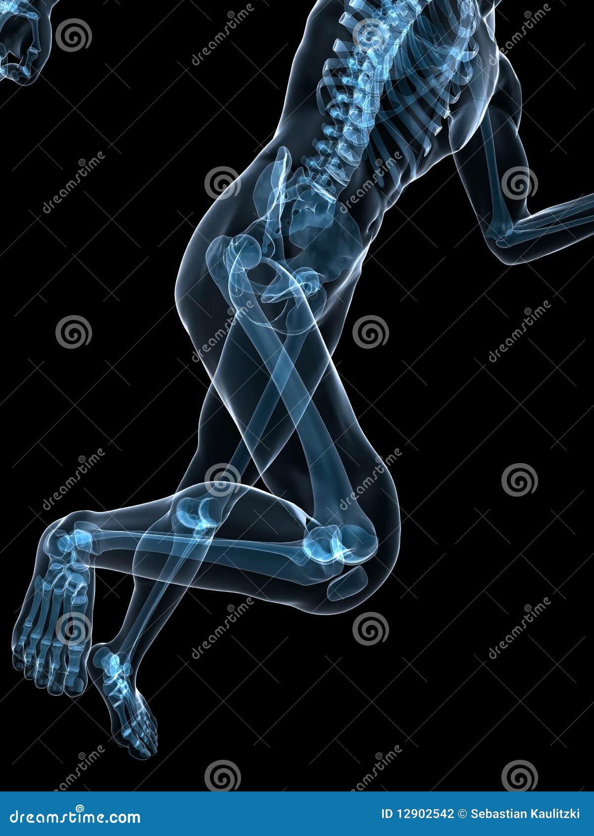 Man Running Skeleton X-ray Royalty-Free Stock Photo | CartoonDealer.com ...