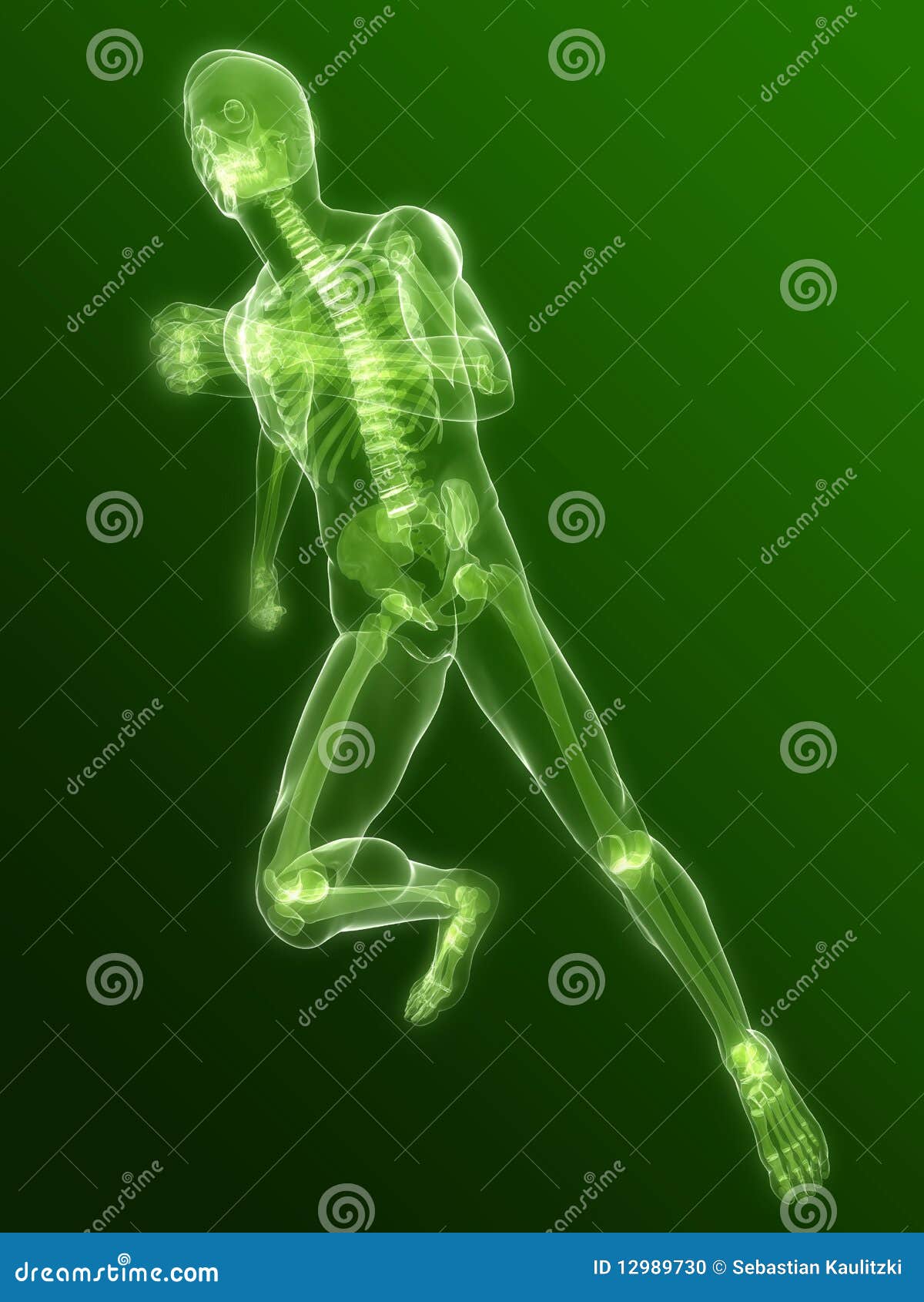 Man Running Skeleton X-ray Stock Photo | CartoonDealer.com #35433714