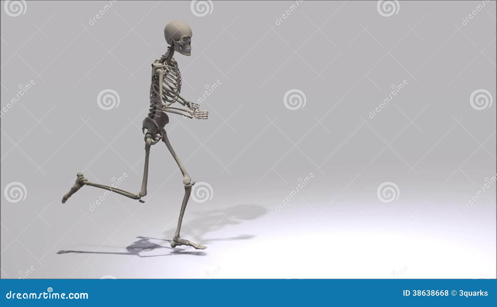 Running Skeleton stock footage. Video of spine, continuous - 38638668