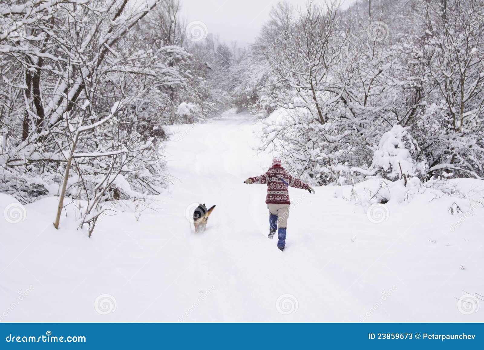 Running in the snow stock image. Image of winter, mountain - 23859673