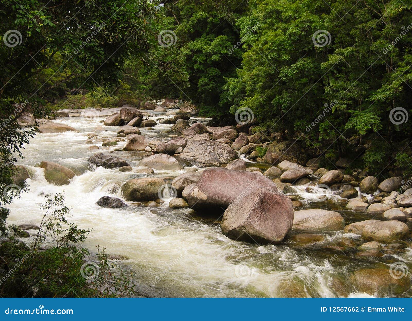 Running stream stock photo. Image of close, green, rivulet - 12567662