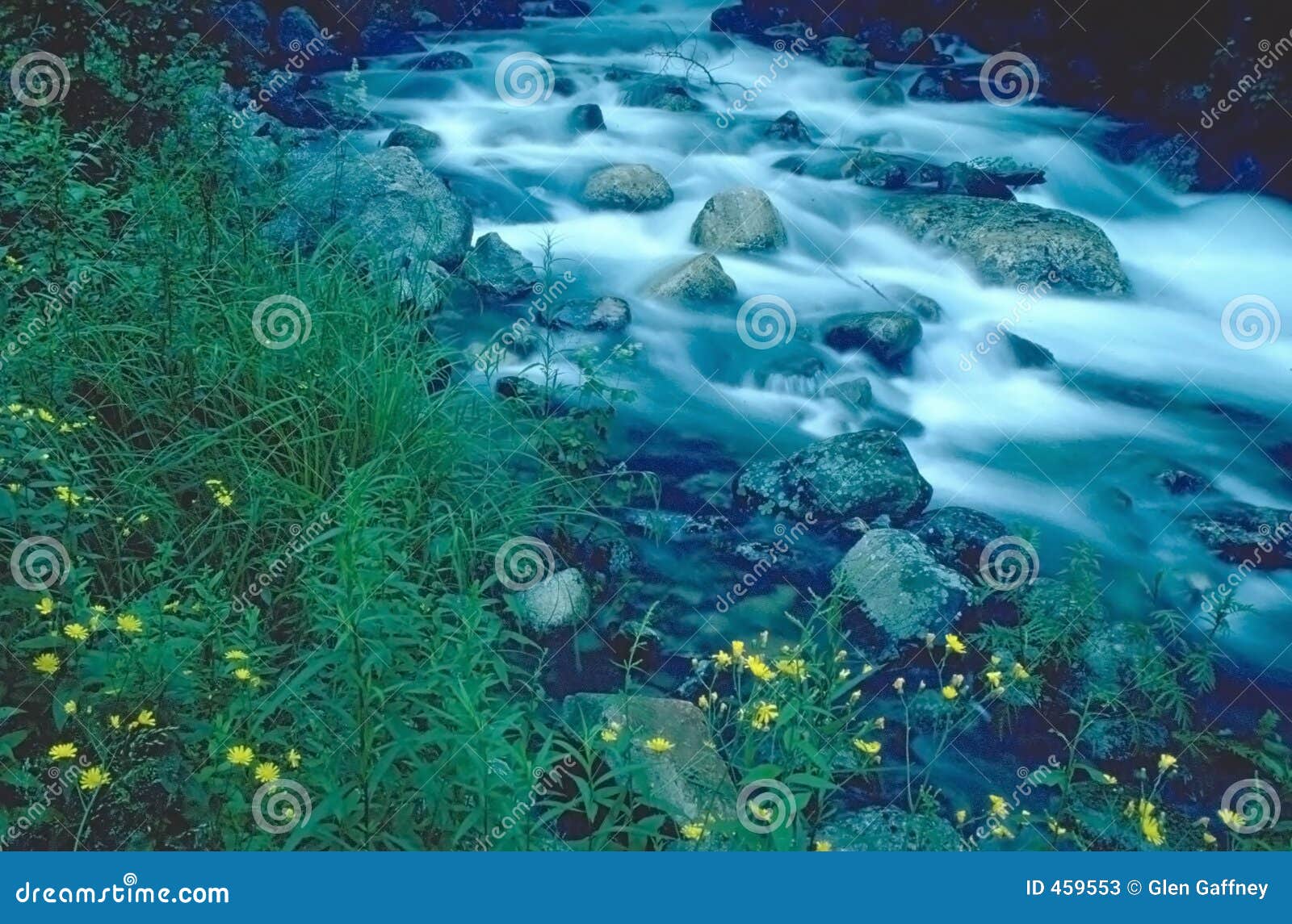 Running stream stock image. Image of ontario, great, streams - 459553