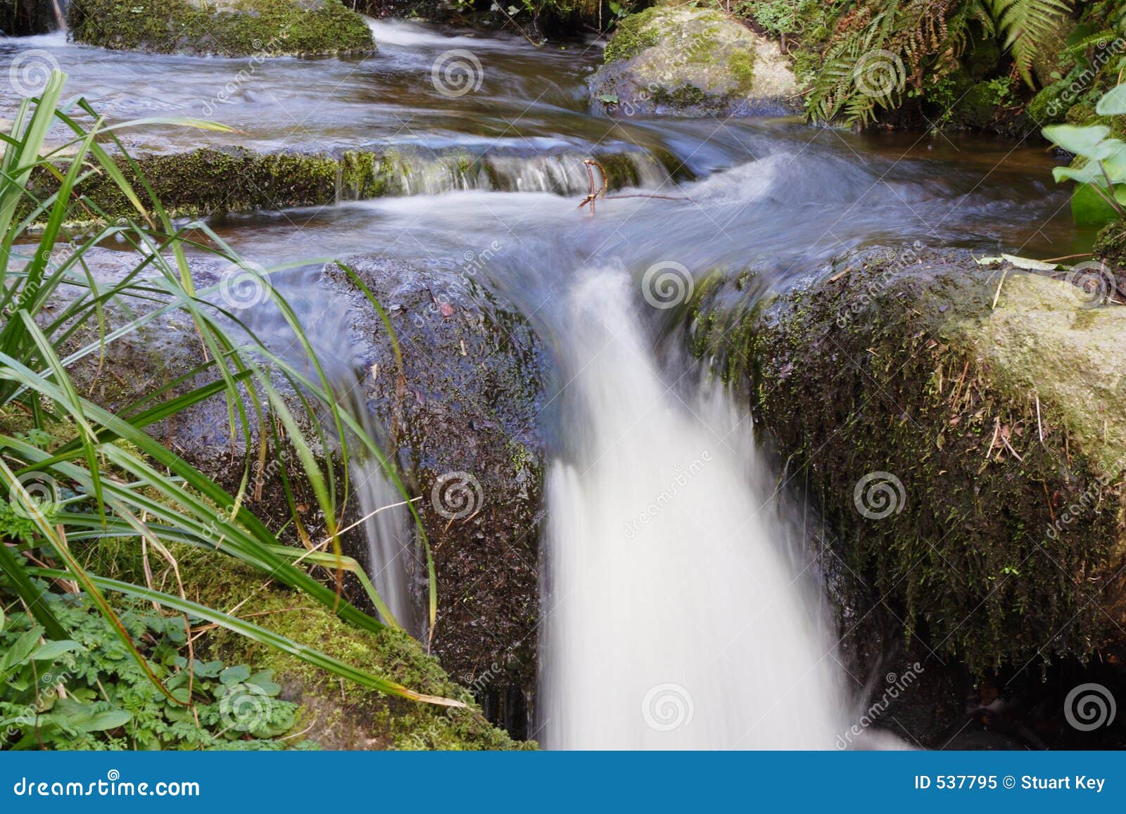 Running stream stock image. Image of spray, foliage, beauty - 537795