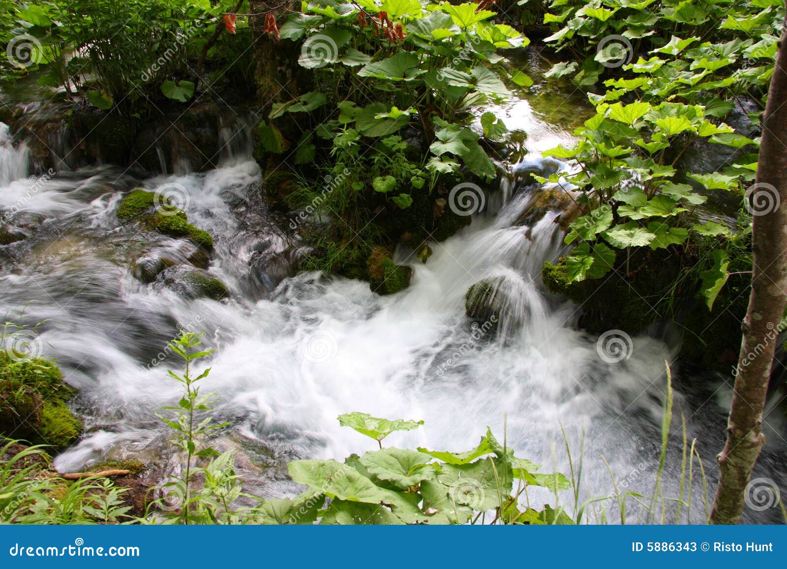 Running Stream in Plitvice, Croatia Stock Image - Image of river ...