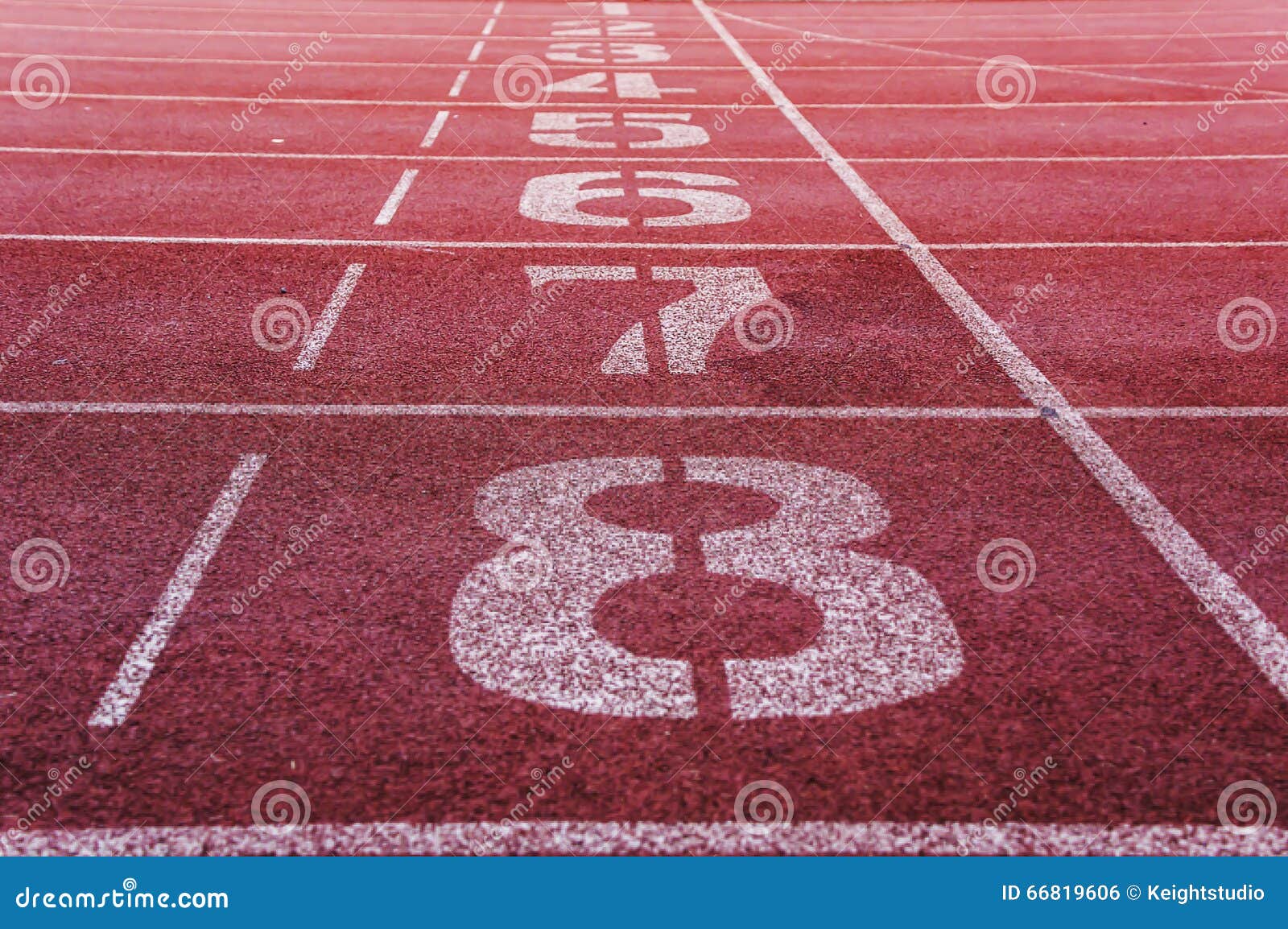 Running Track Closeup Numbers Eight Stock Photo - Image of lane ...