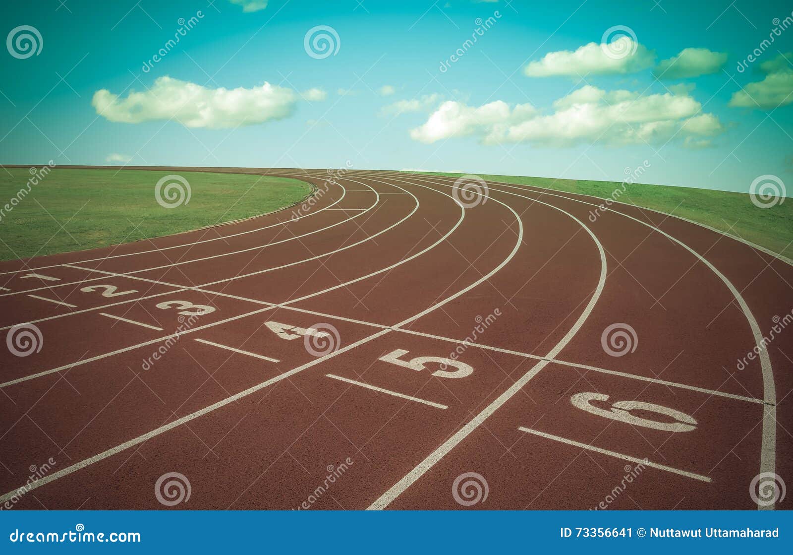 Running Track between Green Grass in Stadium. Stock Image - Image of ...