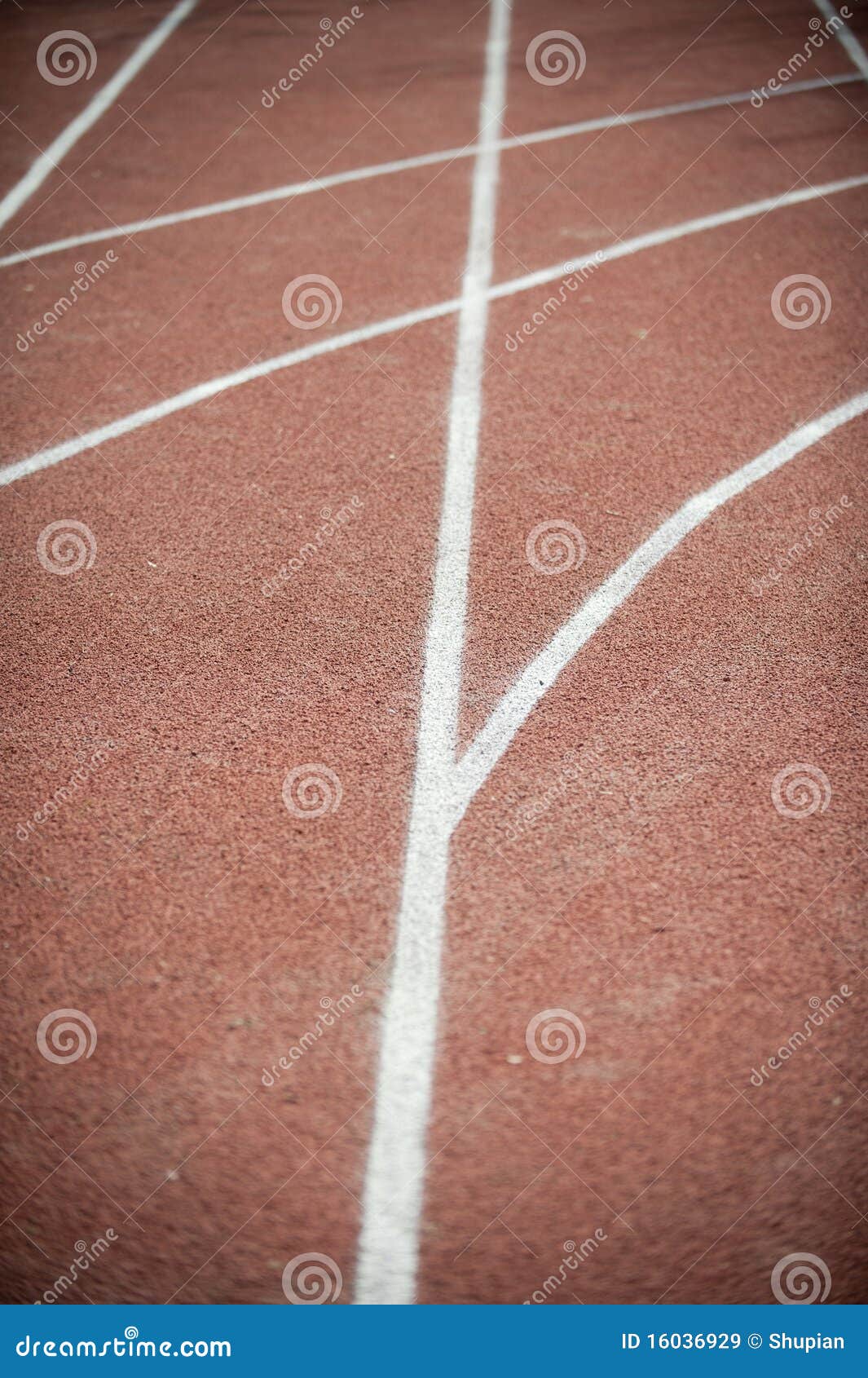 Running track lines stock image. Image of field, event - 16036929
