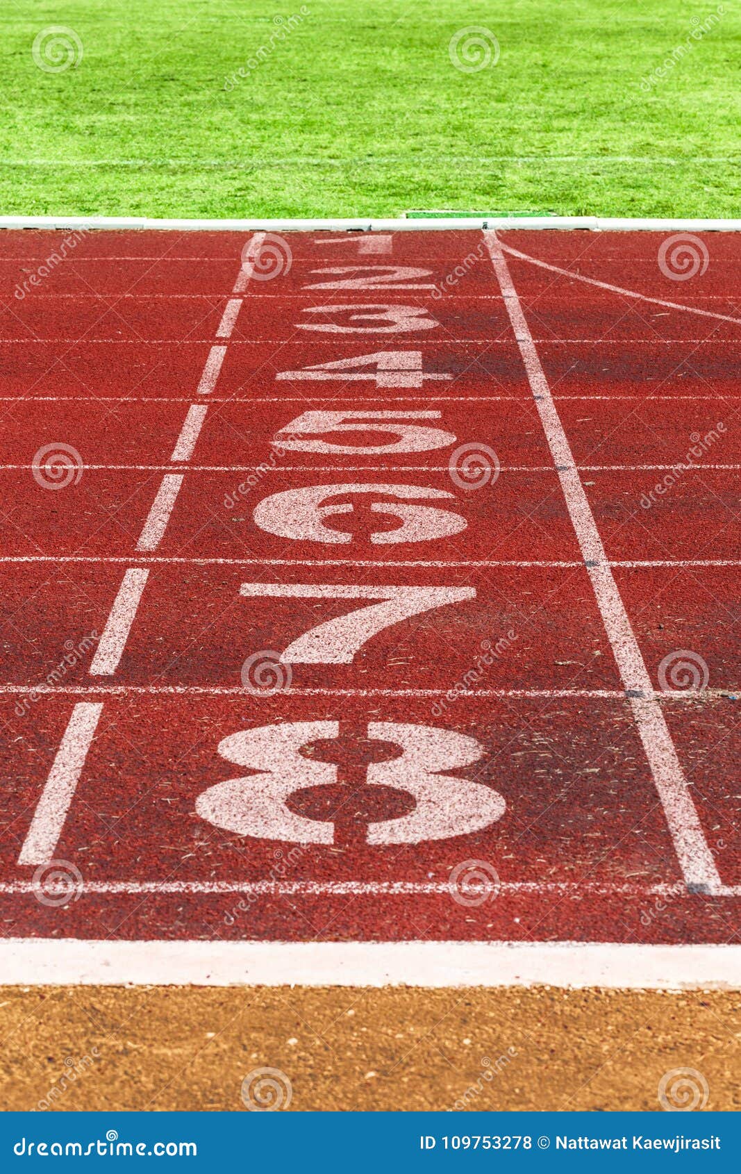 Running Track Lines with Green Grass. Running Track. Stadium Track ... Running Track Lines with Green Grass. Running Track. Stadium Track ...