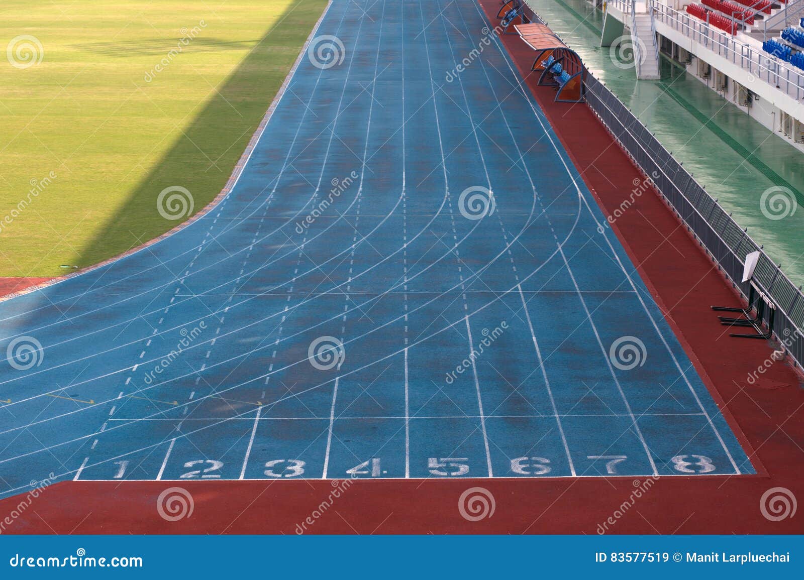 Running track lines. stock image. Image of healthcare - 83577519