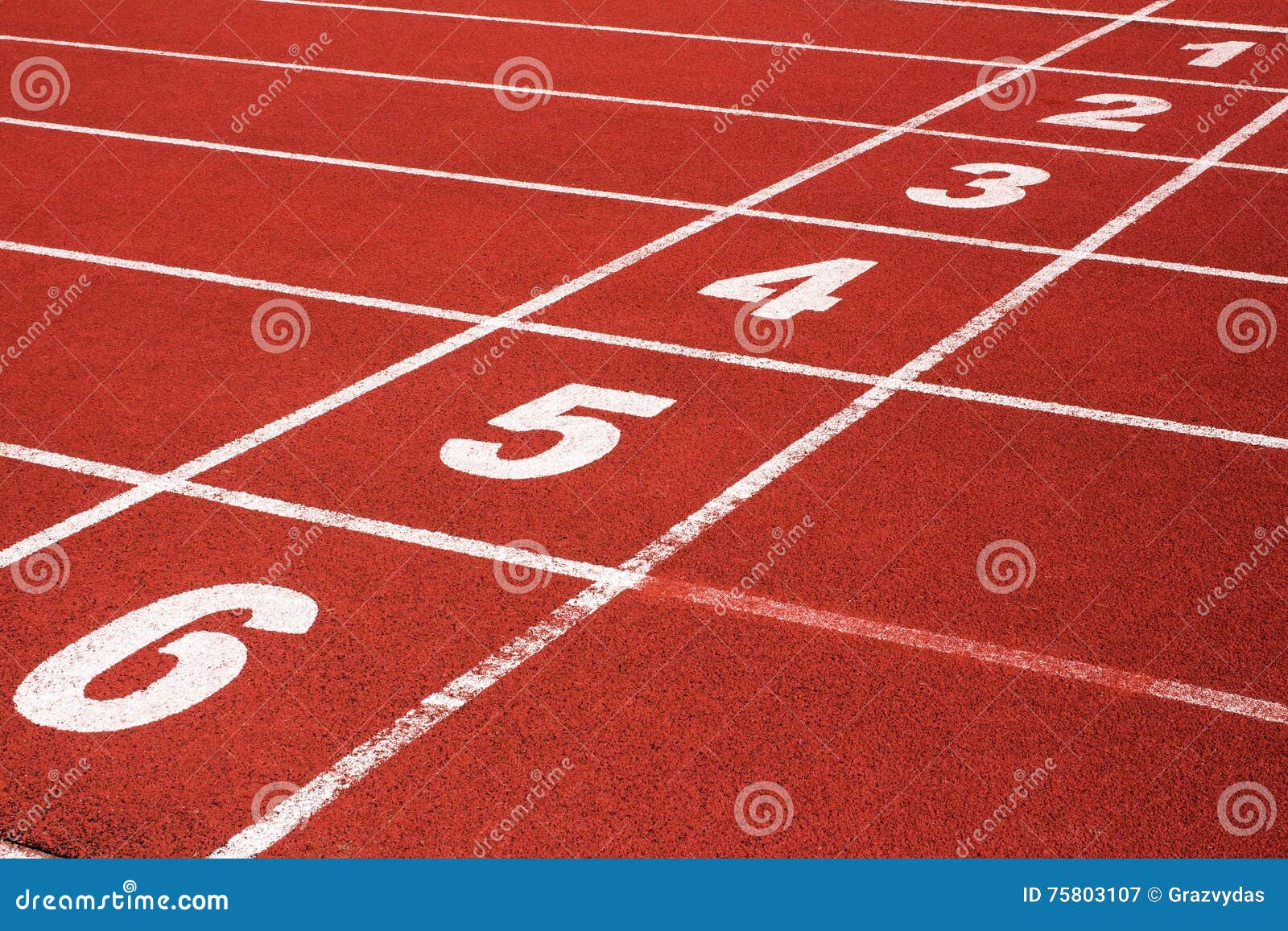 Running Track with the Numbers Stock Image - Image of contest, stadium ...