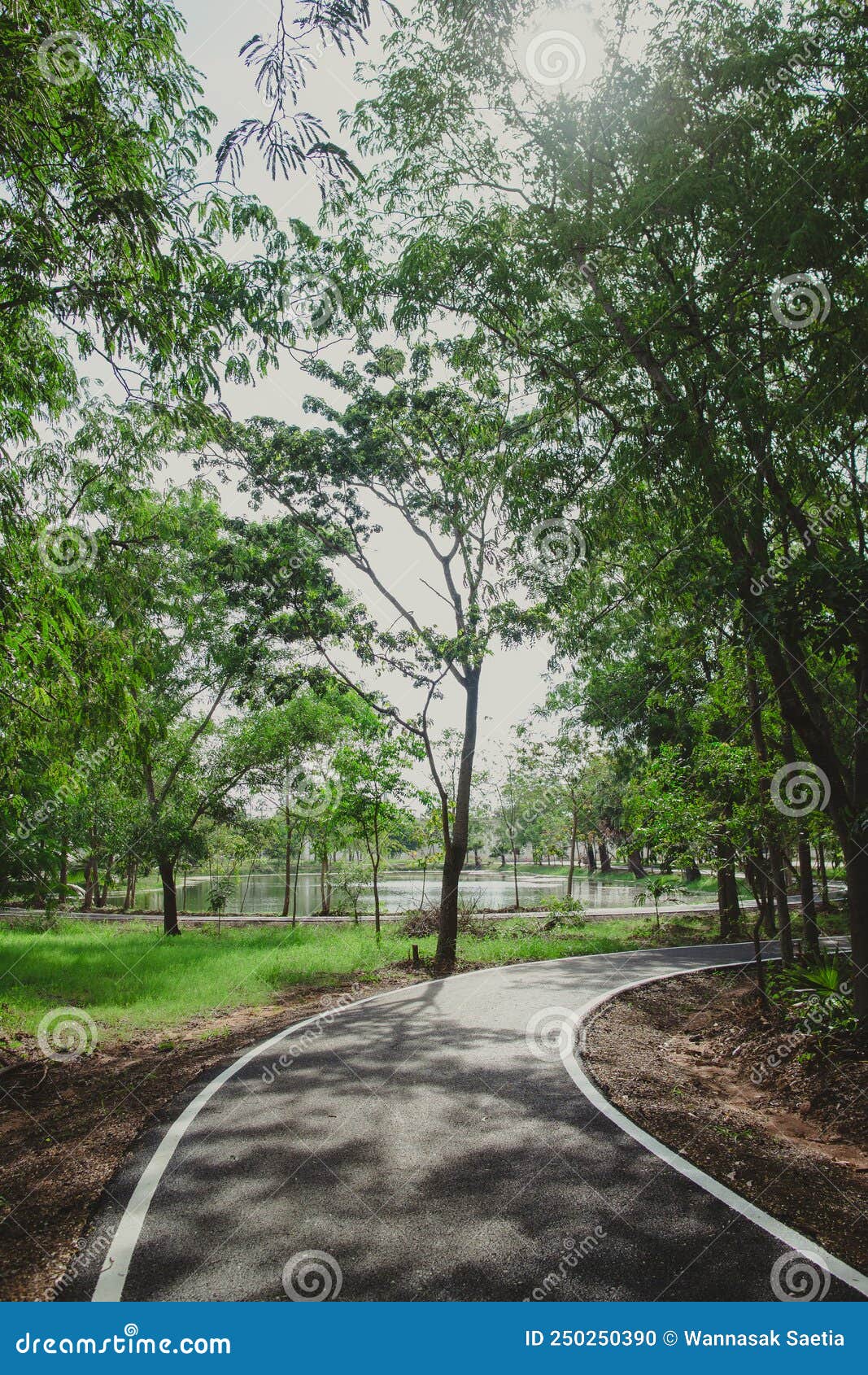 Running track in the park stock photo. Image of environment - 250250390