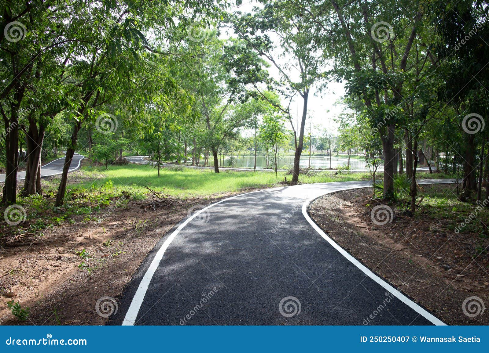 Running track in the park stock image. Image of health - 250250407