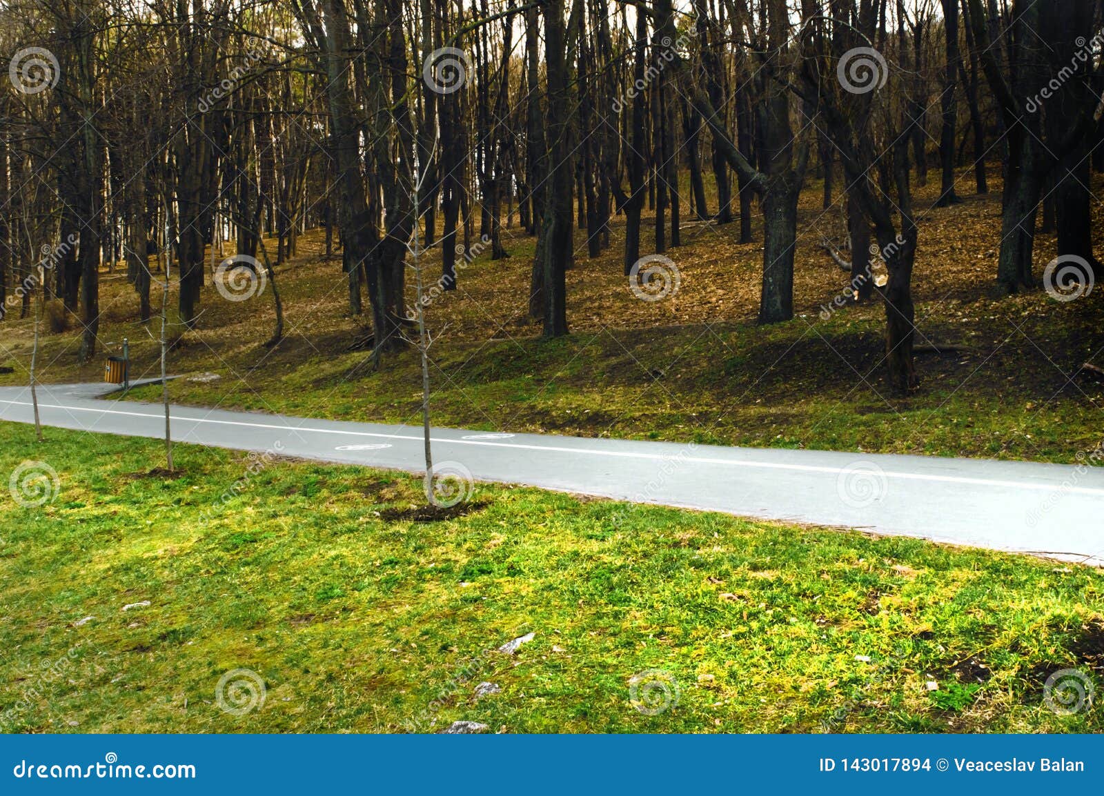 Running track in the park stock photo. Image of jogging - 143017894