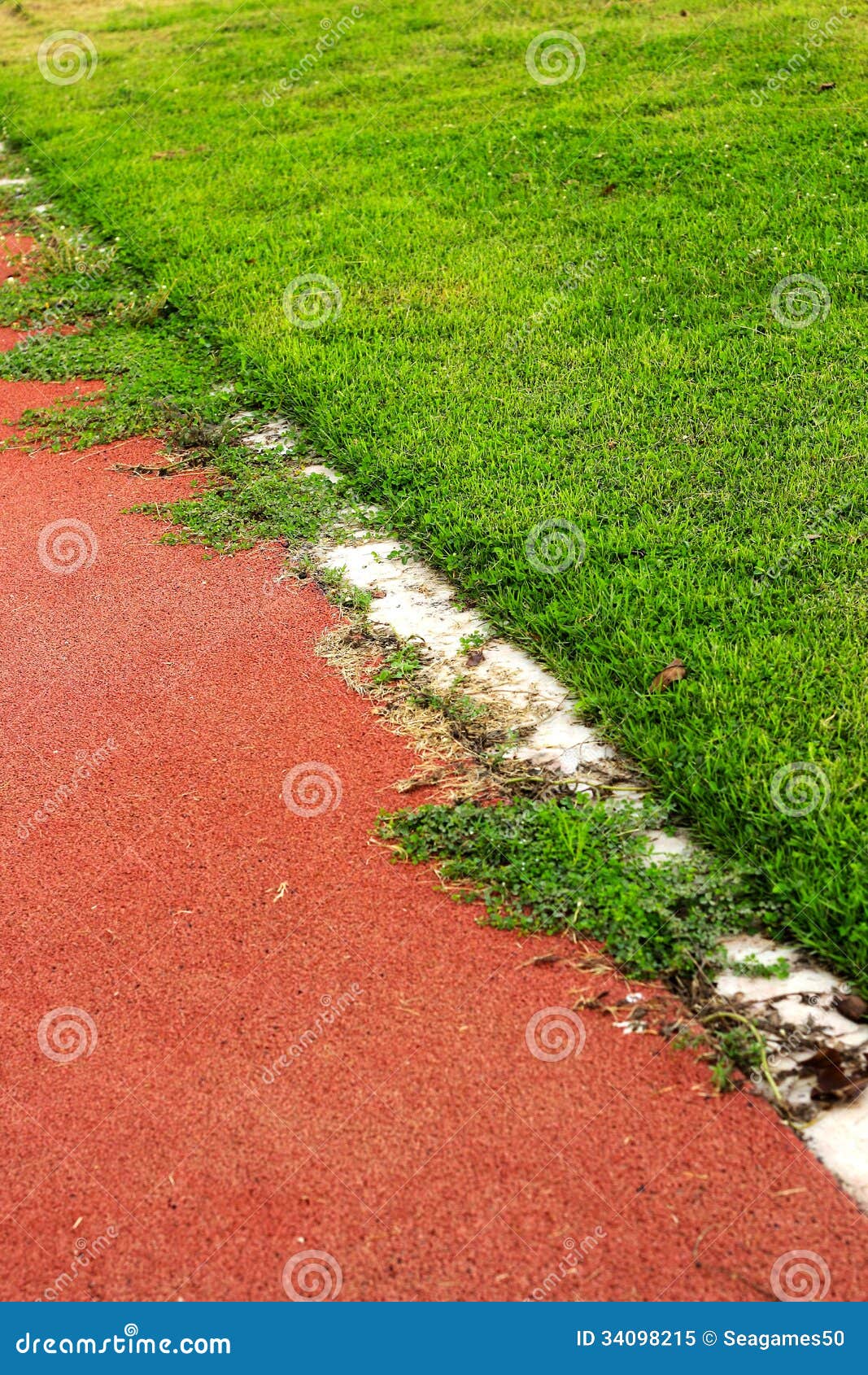 Running Track for in the Stadium - Green Grass. Stock Image - Image of ...