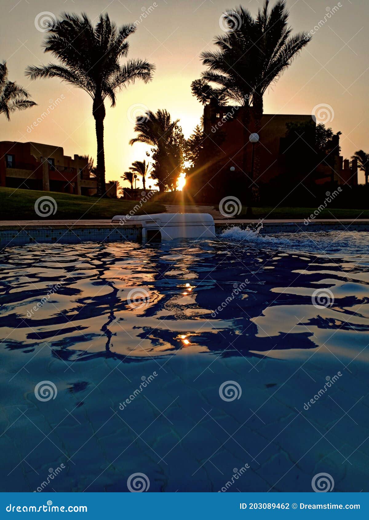 Swimming Pool Sunset Reflection through Plants Stock Photo - Image of ...