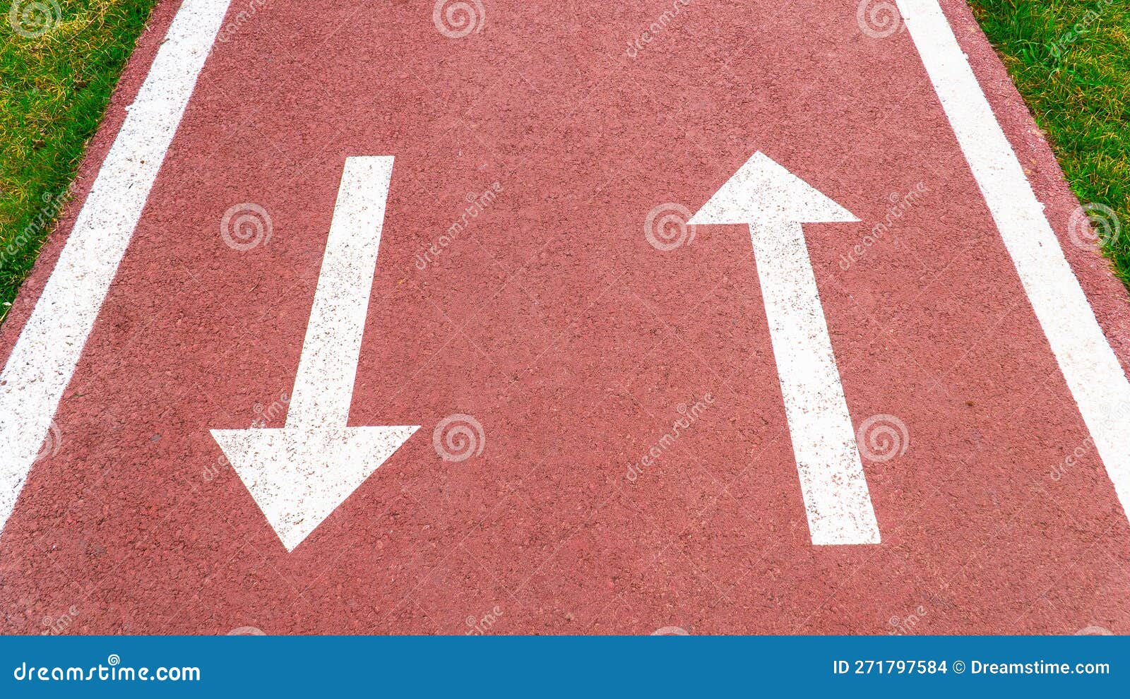 Running Track. Walking Path, Trail in a Park. Stock Photo - Image of ...