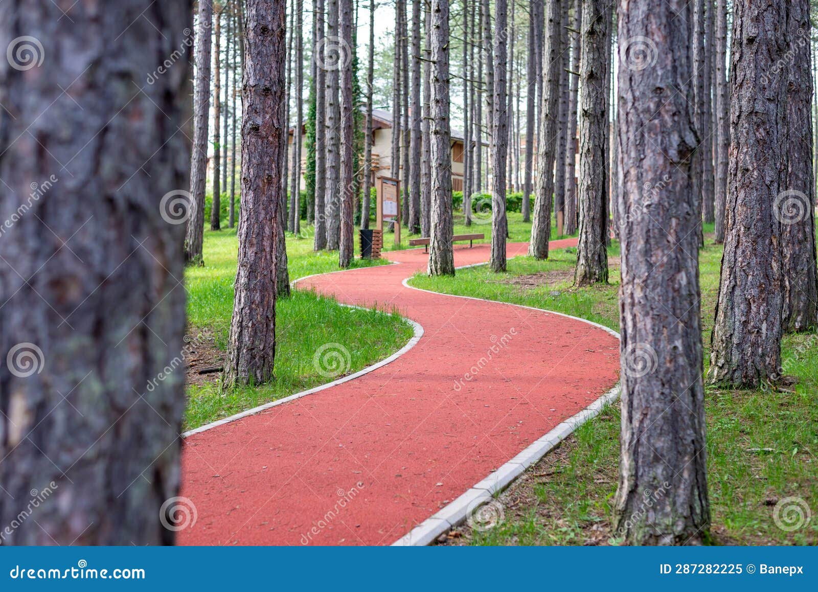Running Trail or a Jogging Path Stock Image - Image of physical, life ...