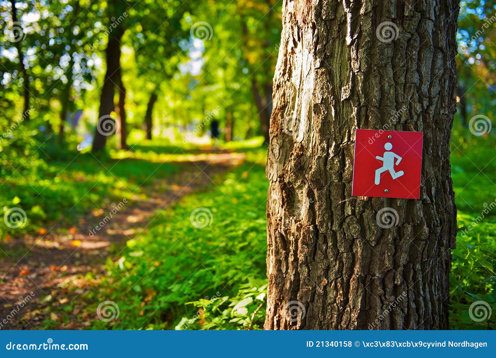Running trail sign on tree stock Image of workout 21340158