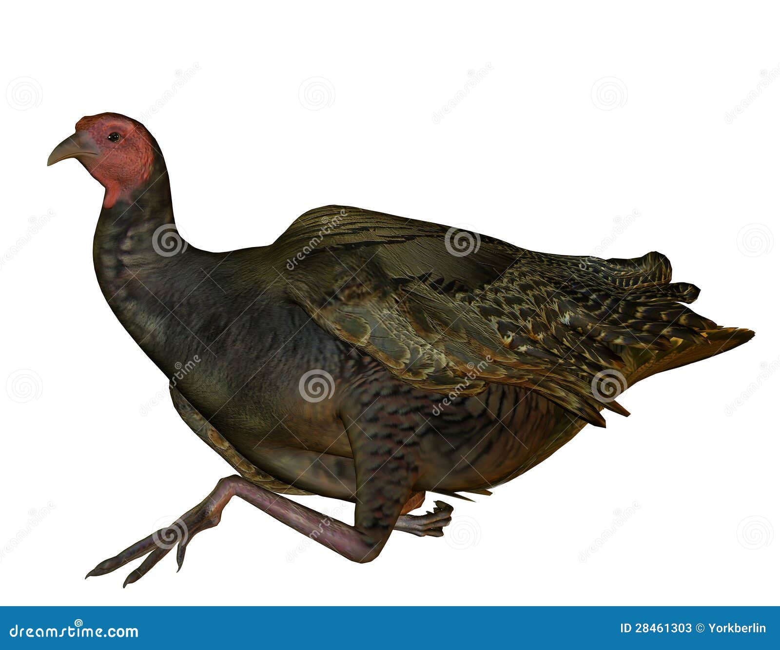 Running turkey stock illustration. Illustration of wildlife - 28461303
