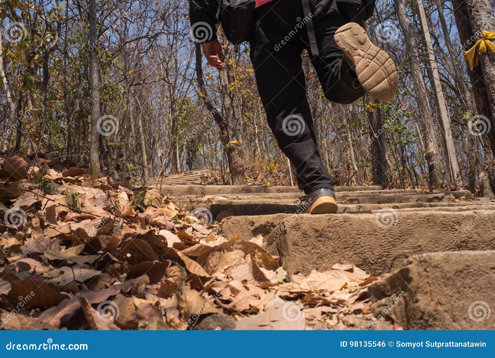 Running up mountain stock photo. Image of jogging, national - 98135546