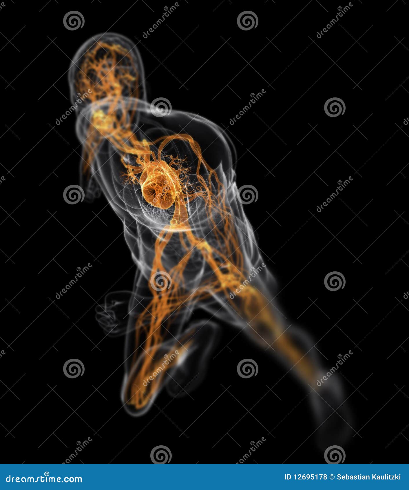 Running Man - Vascular System Royalty-Free Cartoon | CartoonDealer.com ...