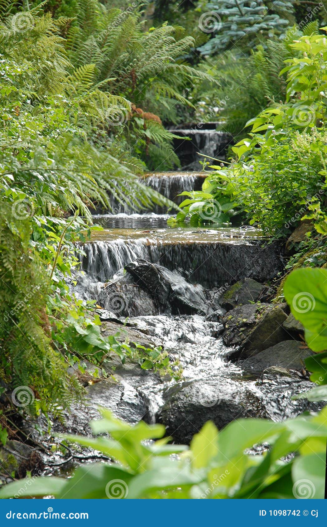 Running Water stock photo. Image of stream, leaves, fall - 1098742