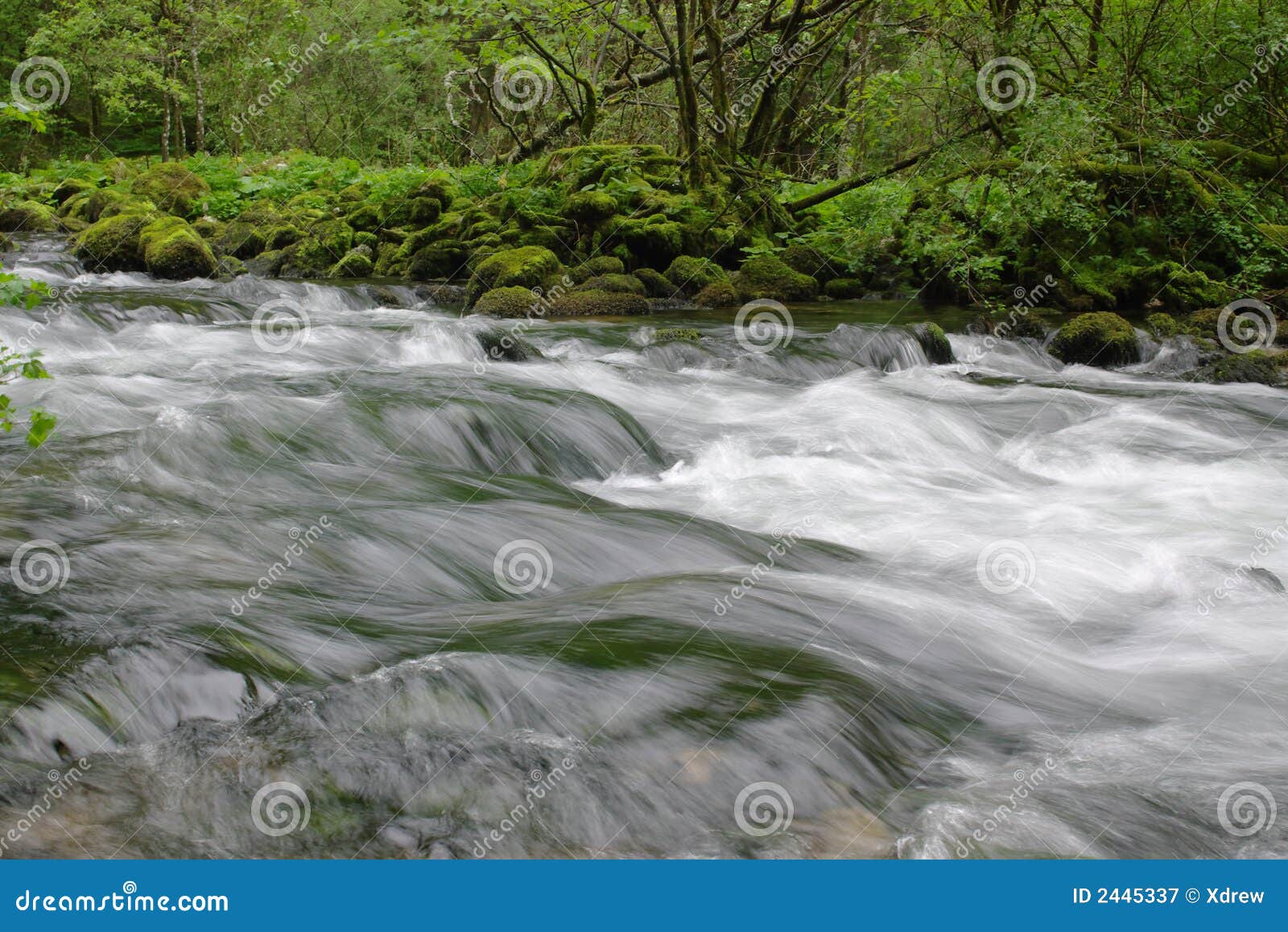 Running water stock image. Image of idyllic, freshness - 2445337
