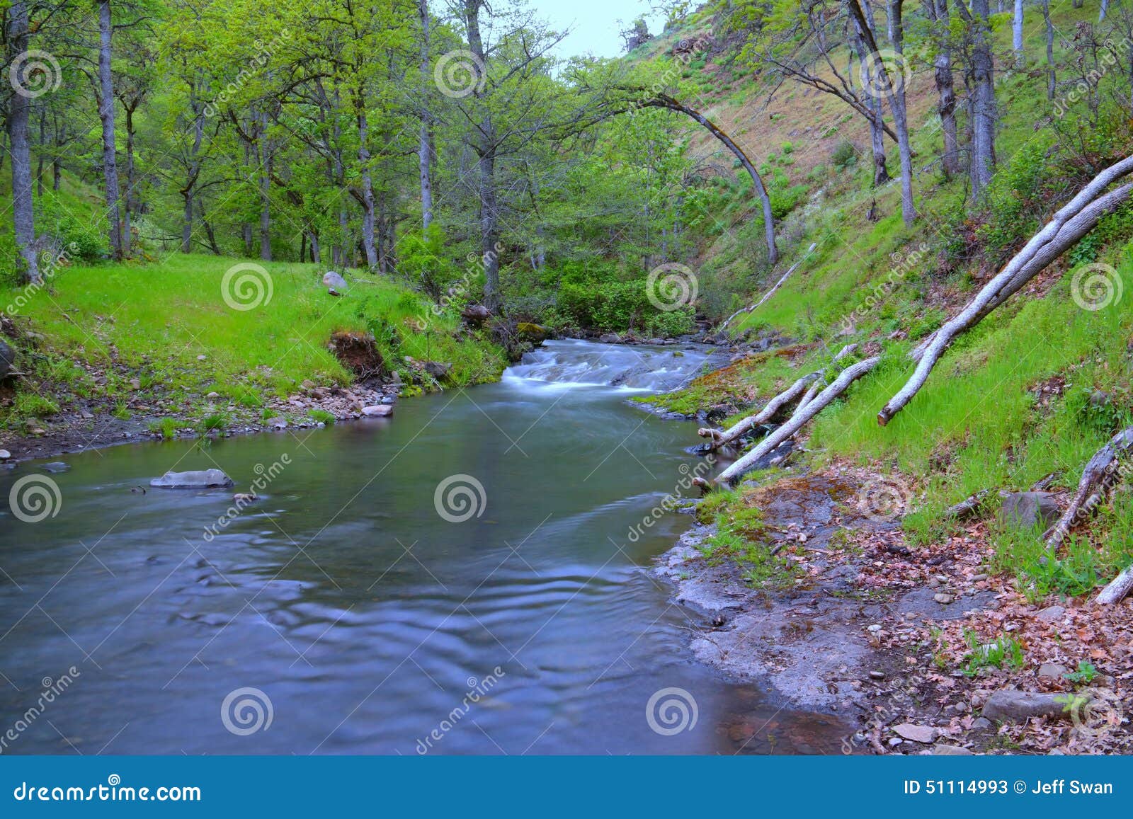 Running water stock image. Image of creek, vegetation - 51114993