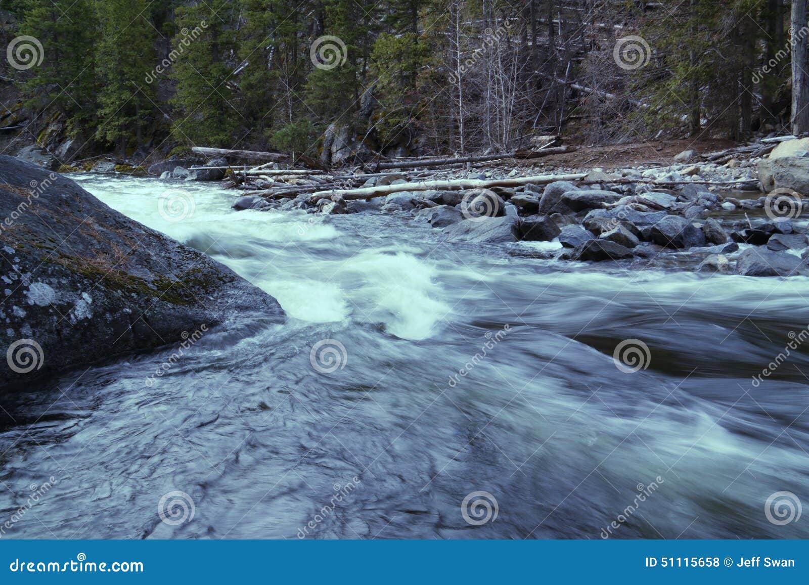 Running water stock photo. Image of rocks, tree, tributary - 51115658