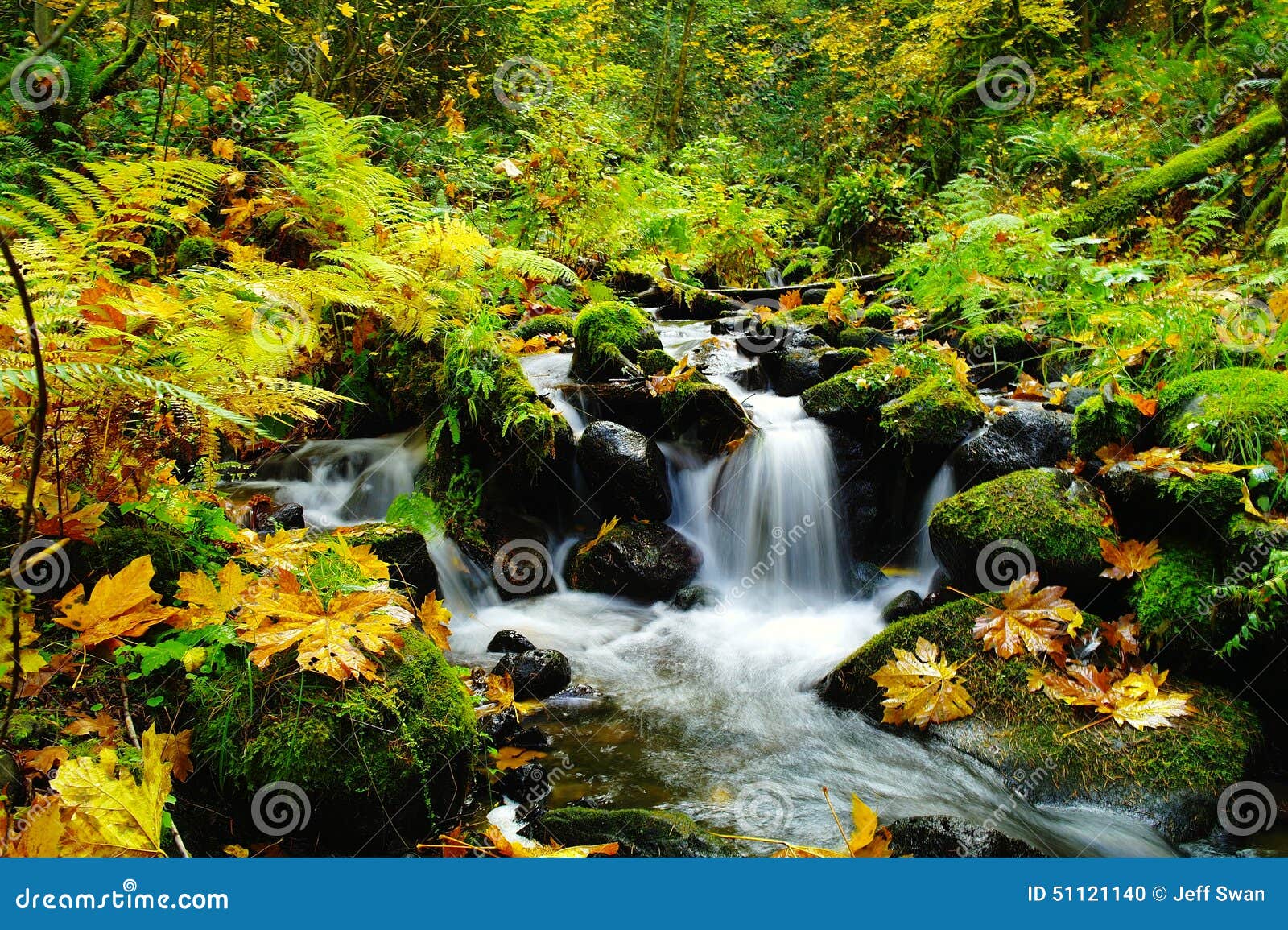 Running water stock photo. Image of stones, arroyo, fresh - 51121140