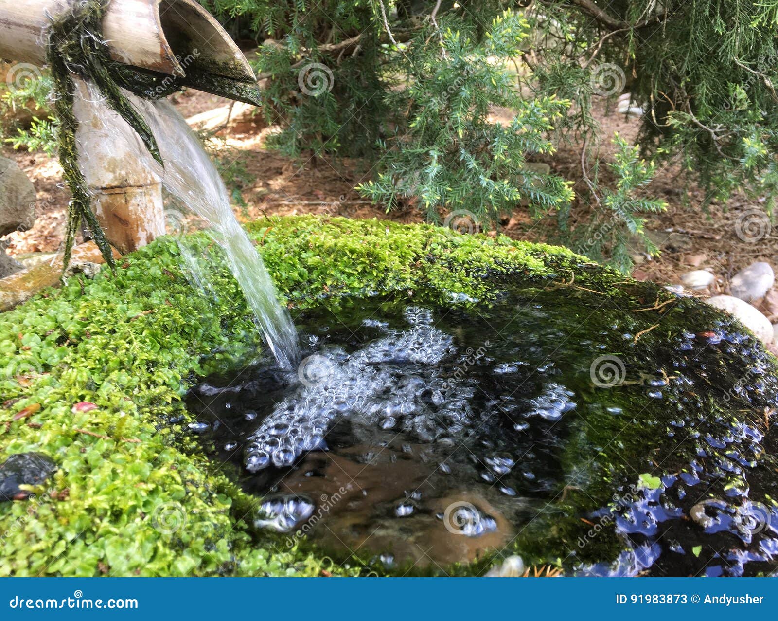 Running Water stock image. Image of current, slosh, foam - 91983873