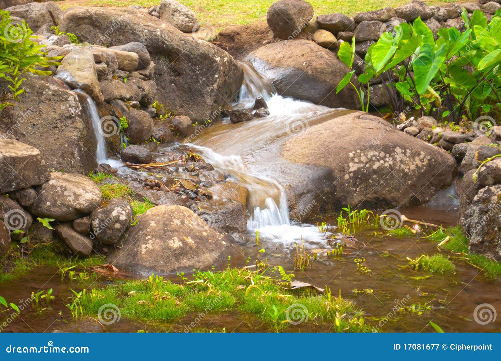 Running Water over Rocks stock image. Image of beautiful - 17081677