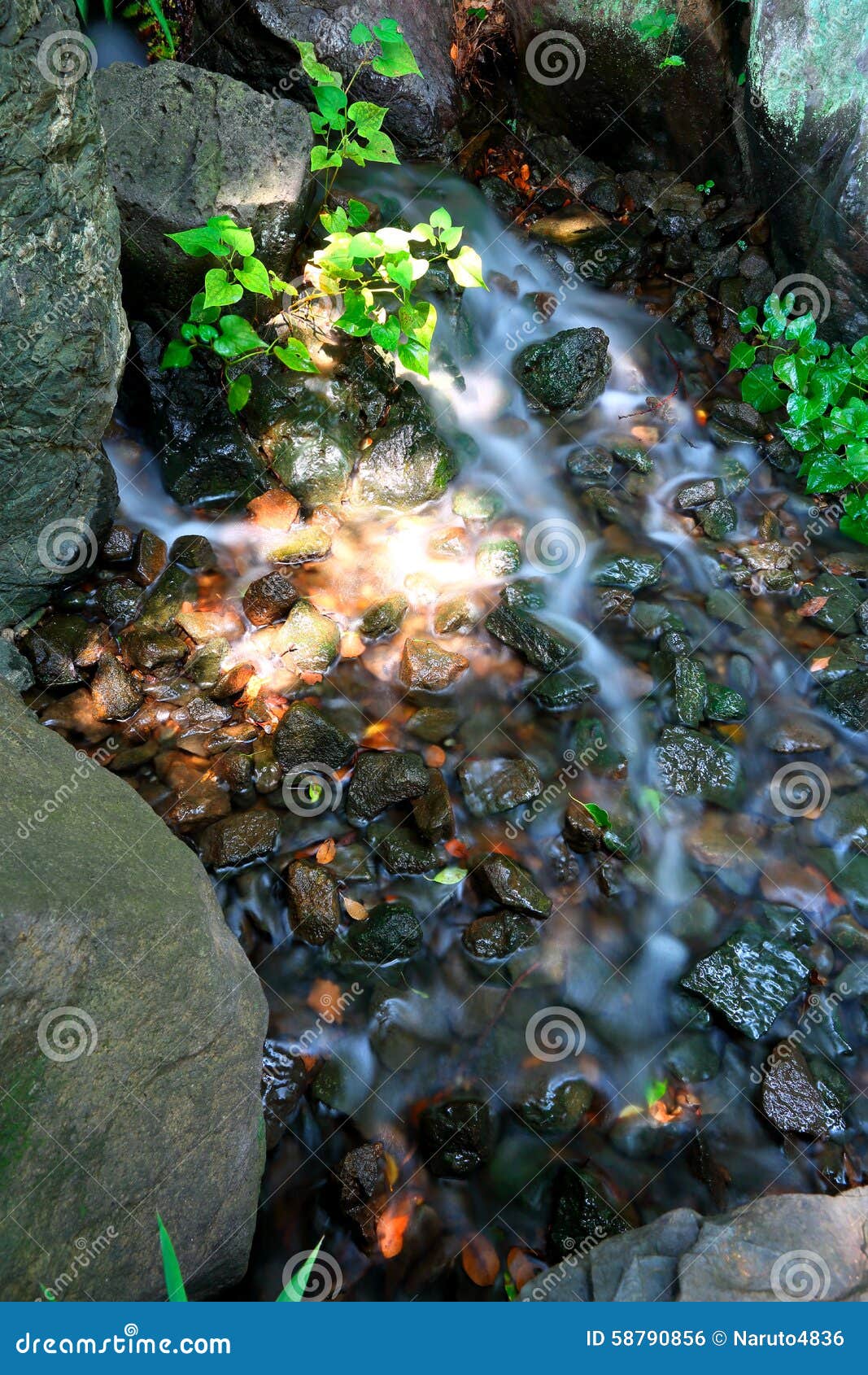 Running water over rocks stock photo. Image of grass - 58790856