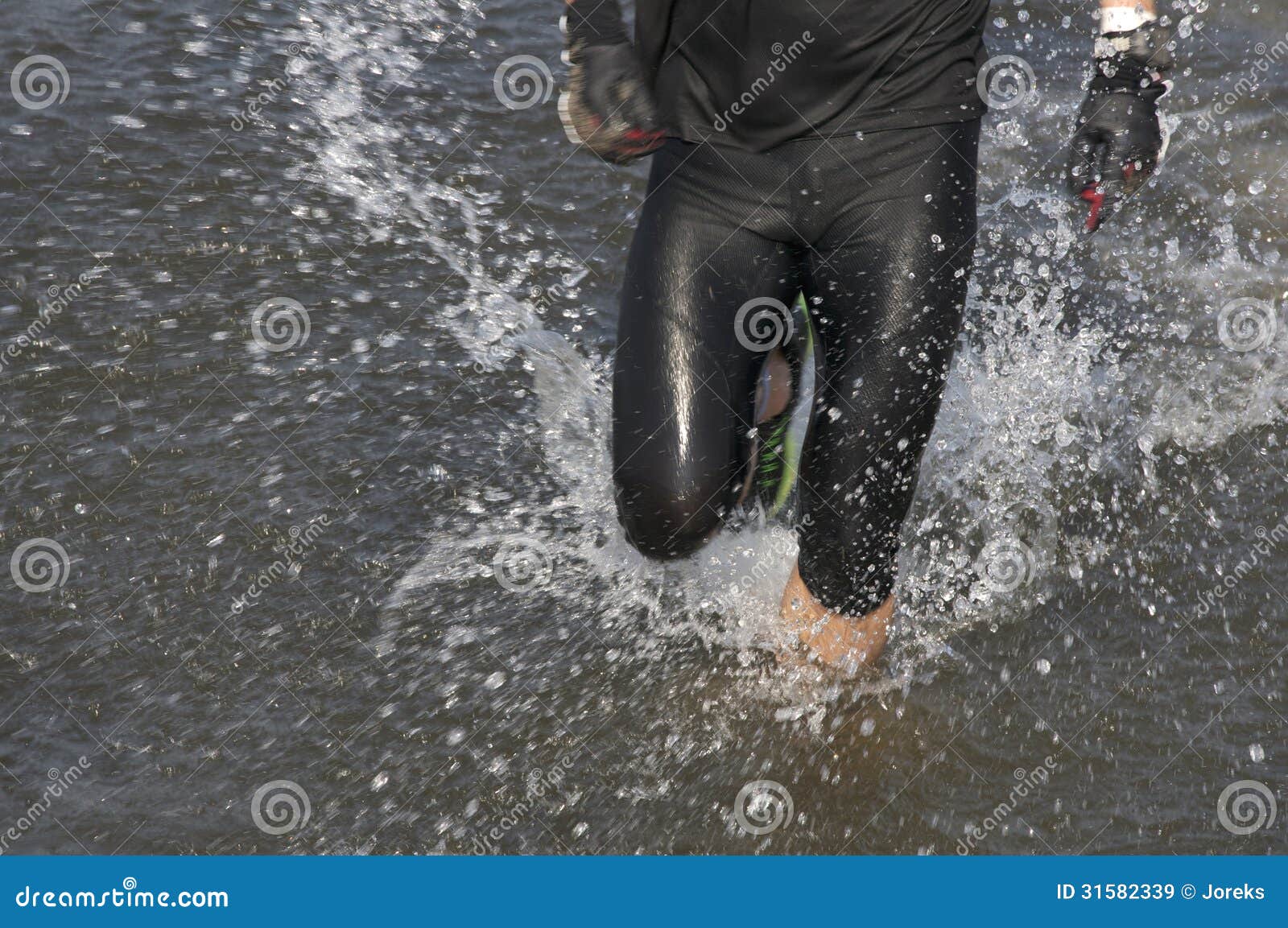 Running in water stock image. Image of wading, summer - 31582339